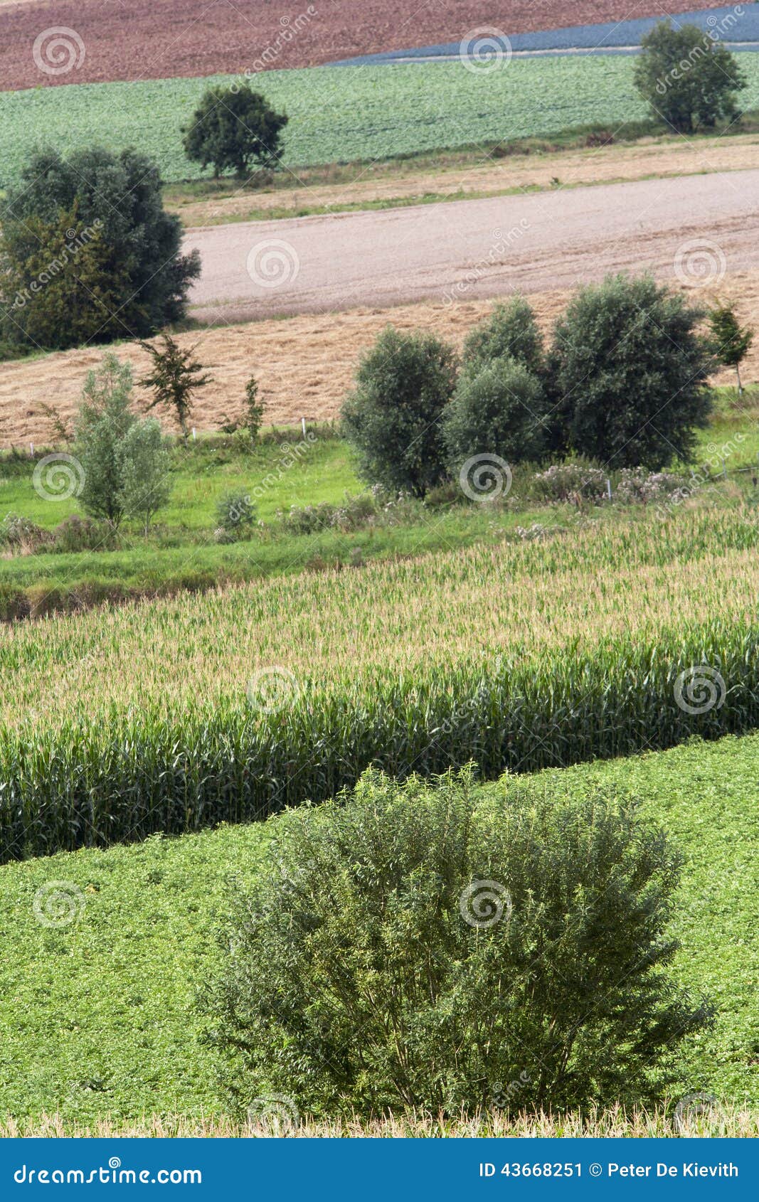 Countryside stock image. Image of abstract, europe, scene - 43668251