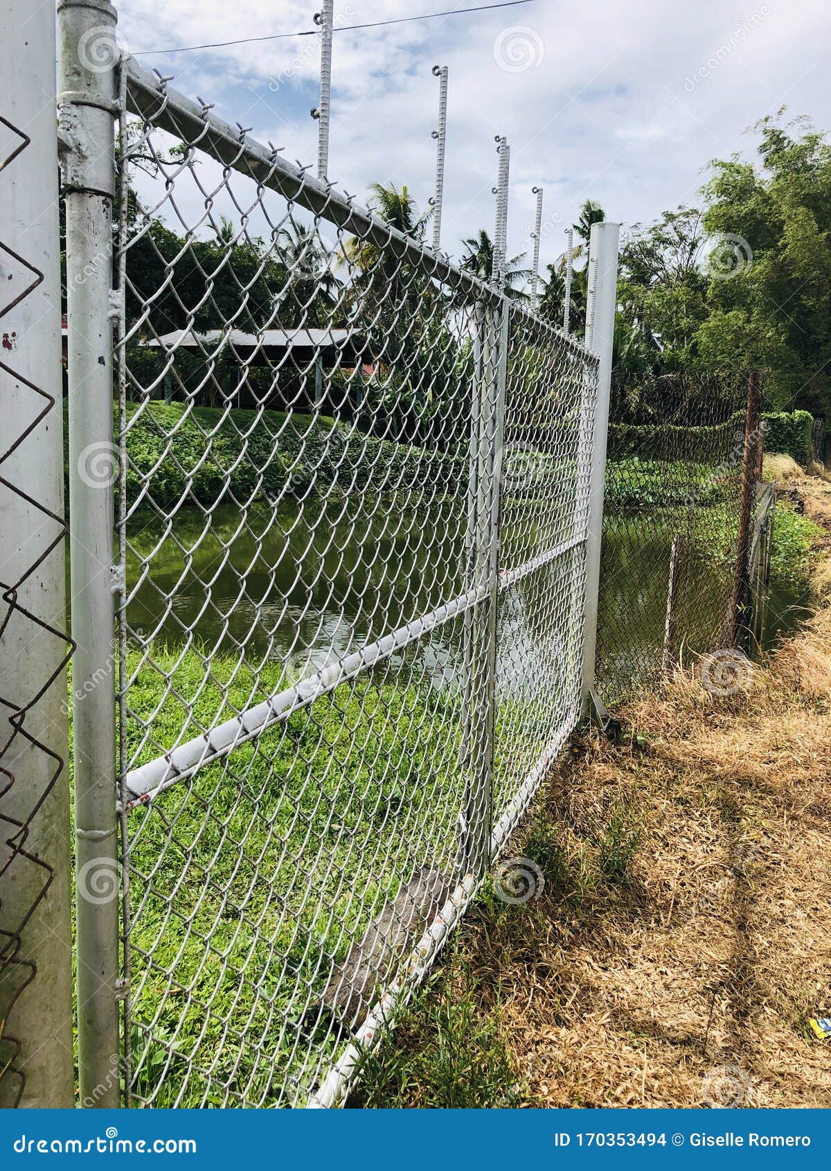 County line wire stock photo. Image of filled, wire - 170353494