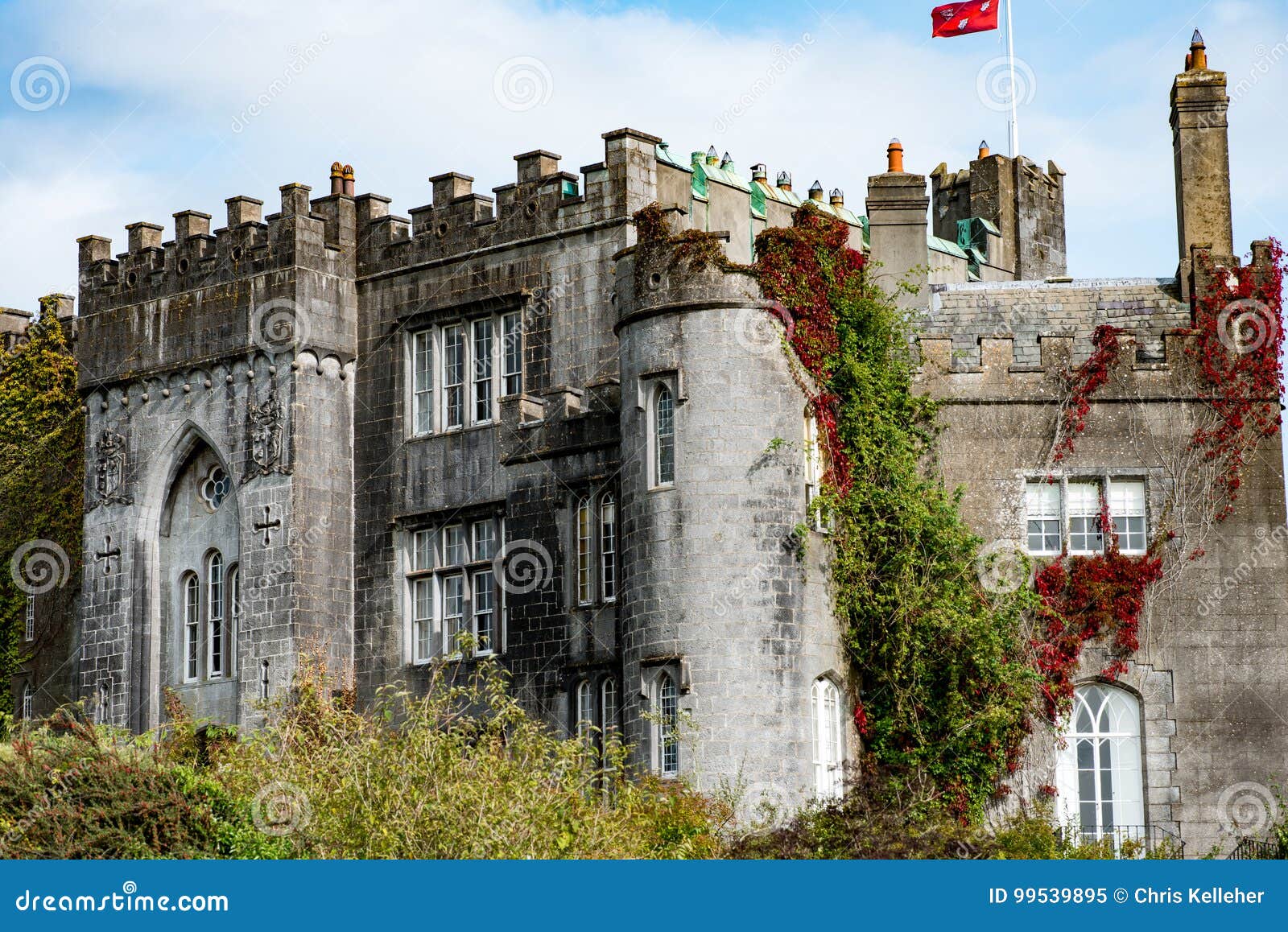 COUNTY OFFALY, IRELAND - AUGUST 23, 2017: Birr Castle in County Offaly ...