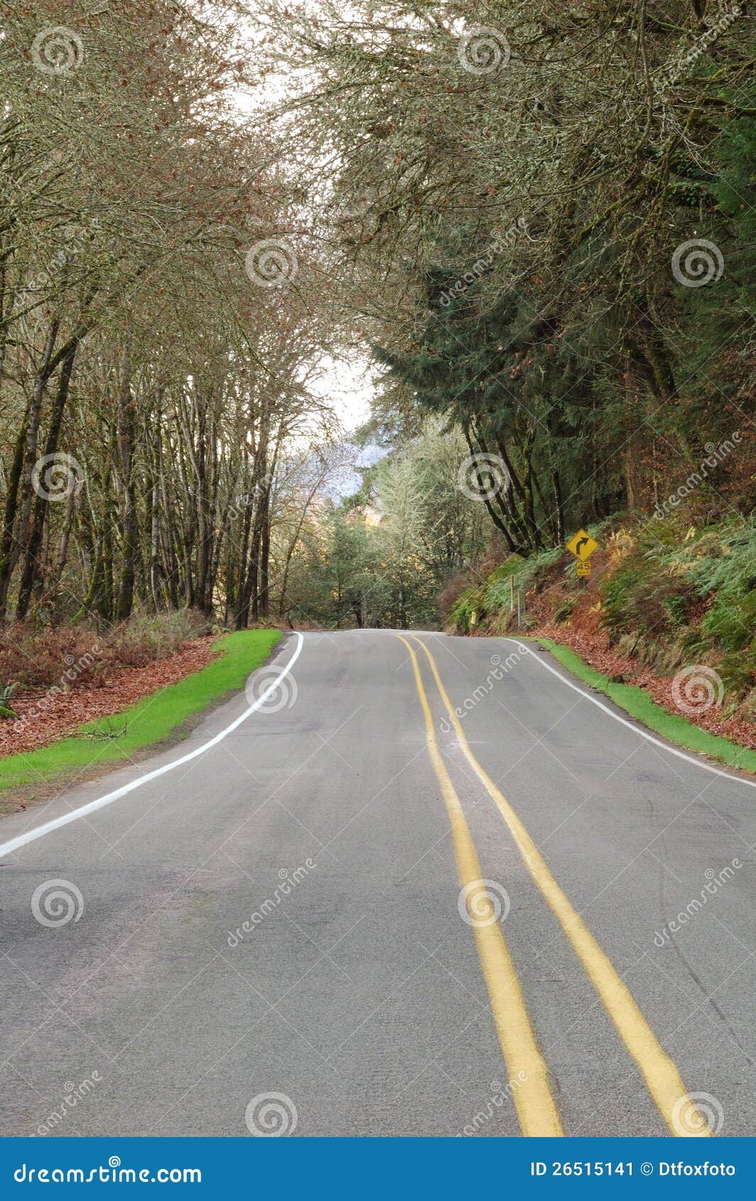County Road stock image. Image of fall, wooded, mountains - 26515141