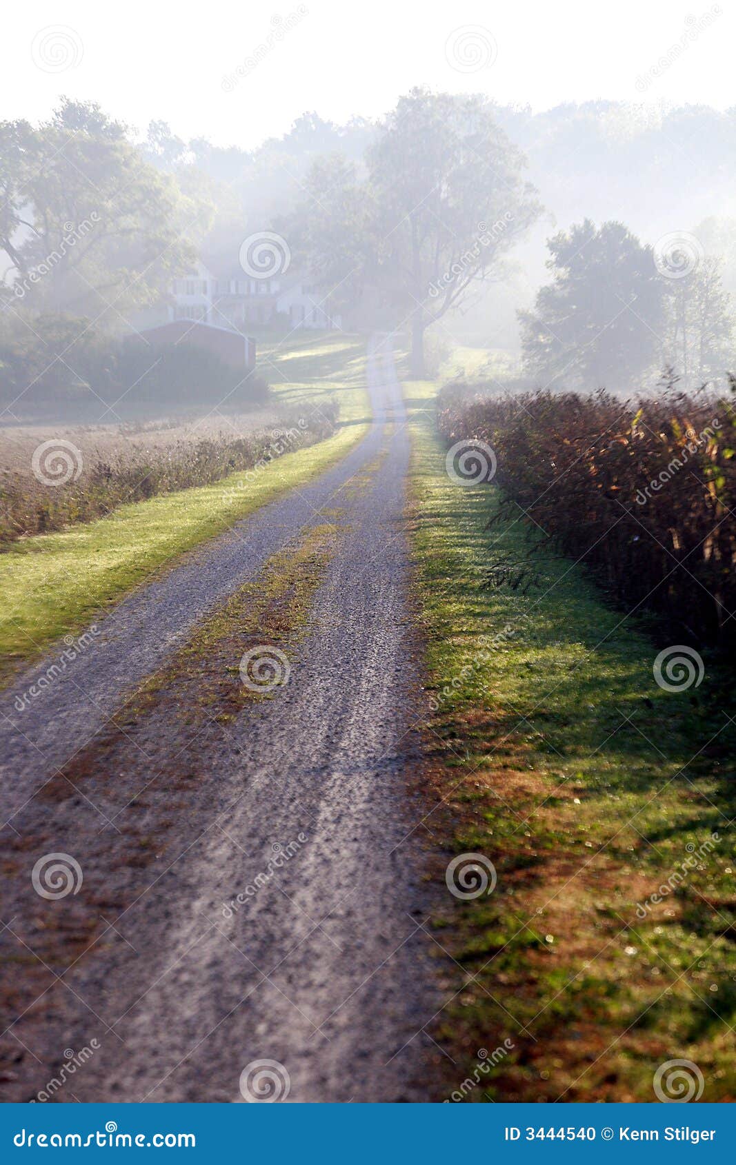 County Road Indiana stock photo. Image of indiana, lane - 3444540