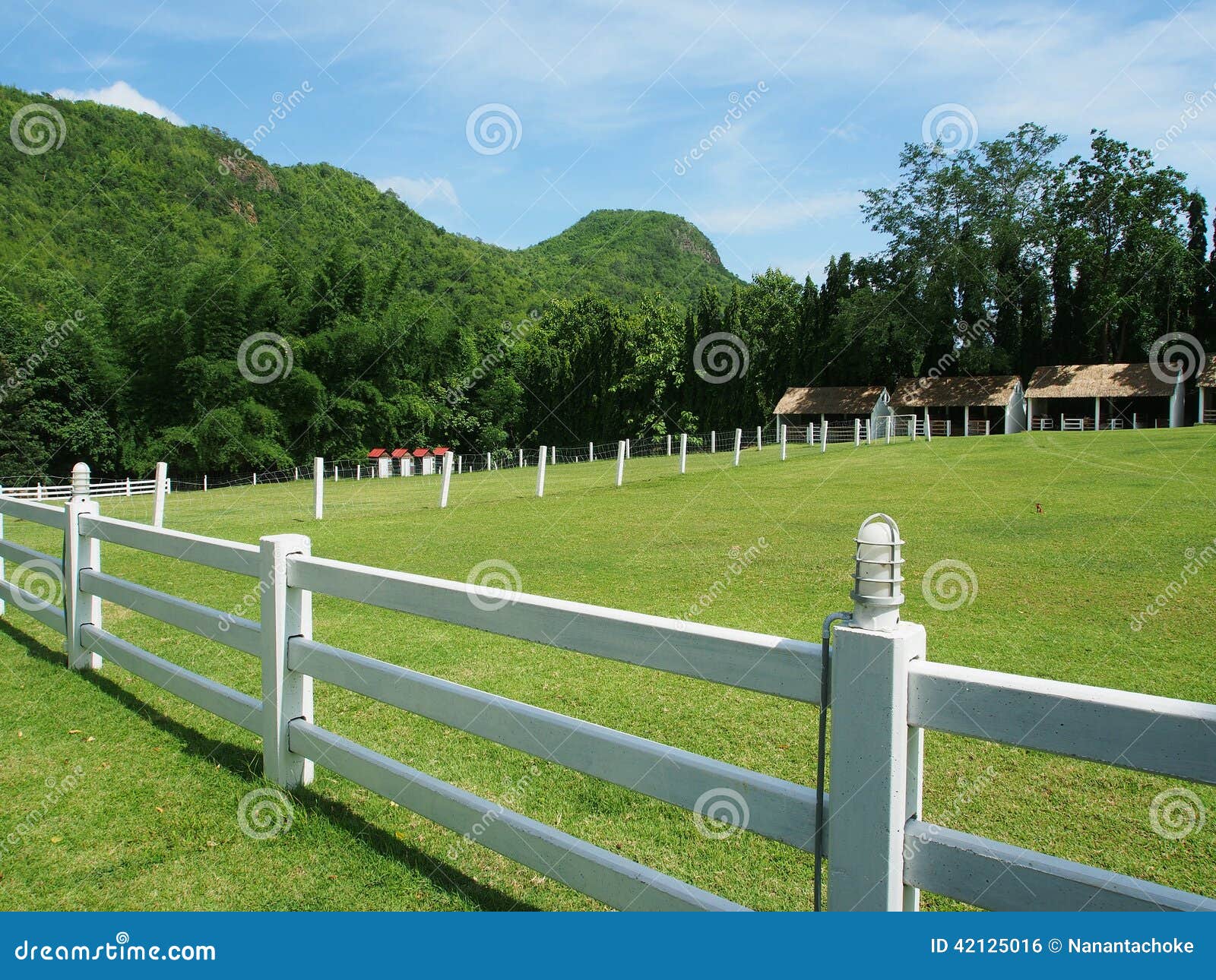 County Style White Fence in Farm Field Stock Photo - Image of meadow ...