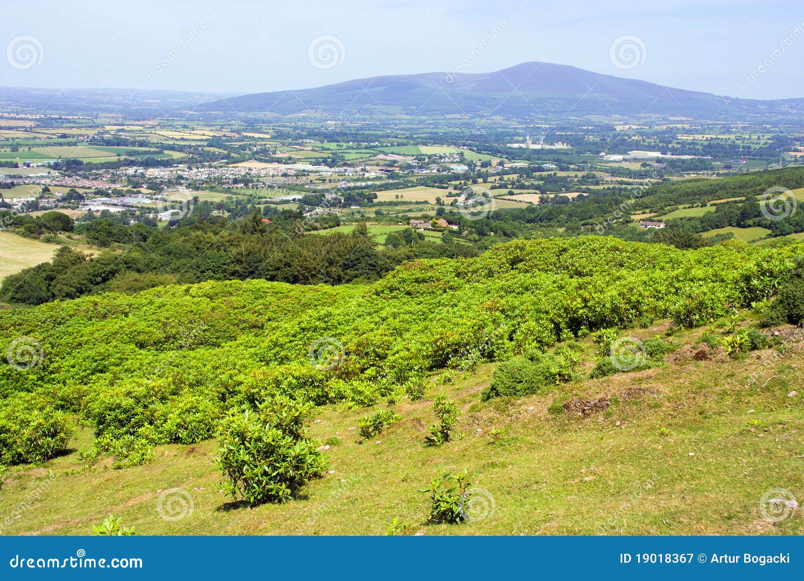 County Tipperary in Ireland Stock Image - Image of eire, plant: 19018367