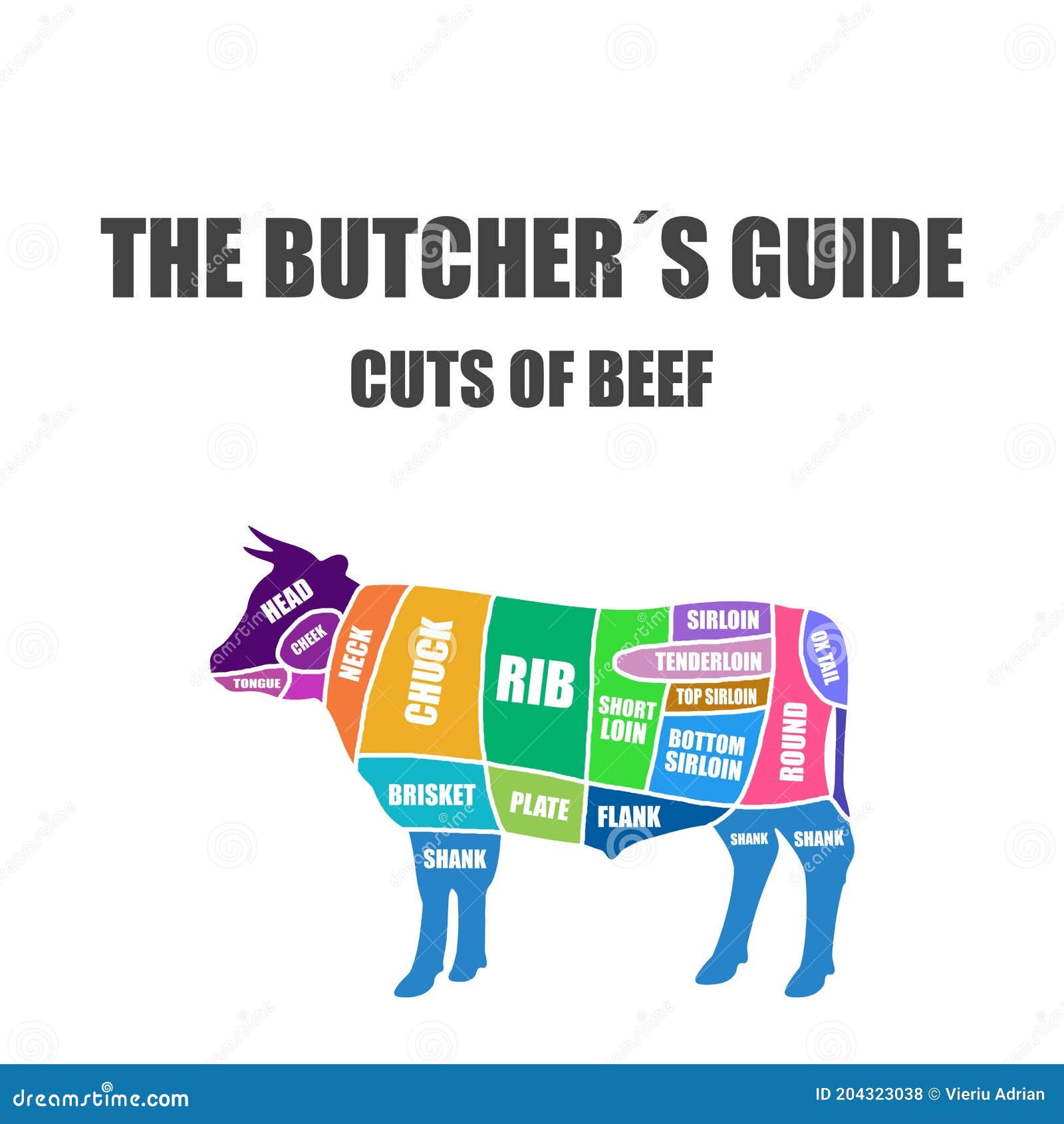 Coupe De Viande De Boeuf. . Plan De Diagramme De Boucher Illustration ...
