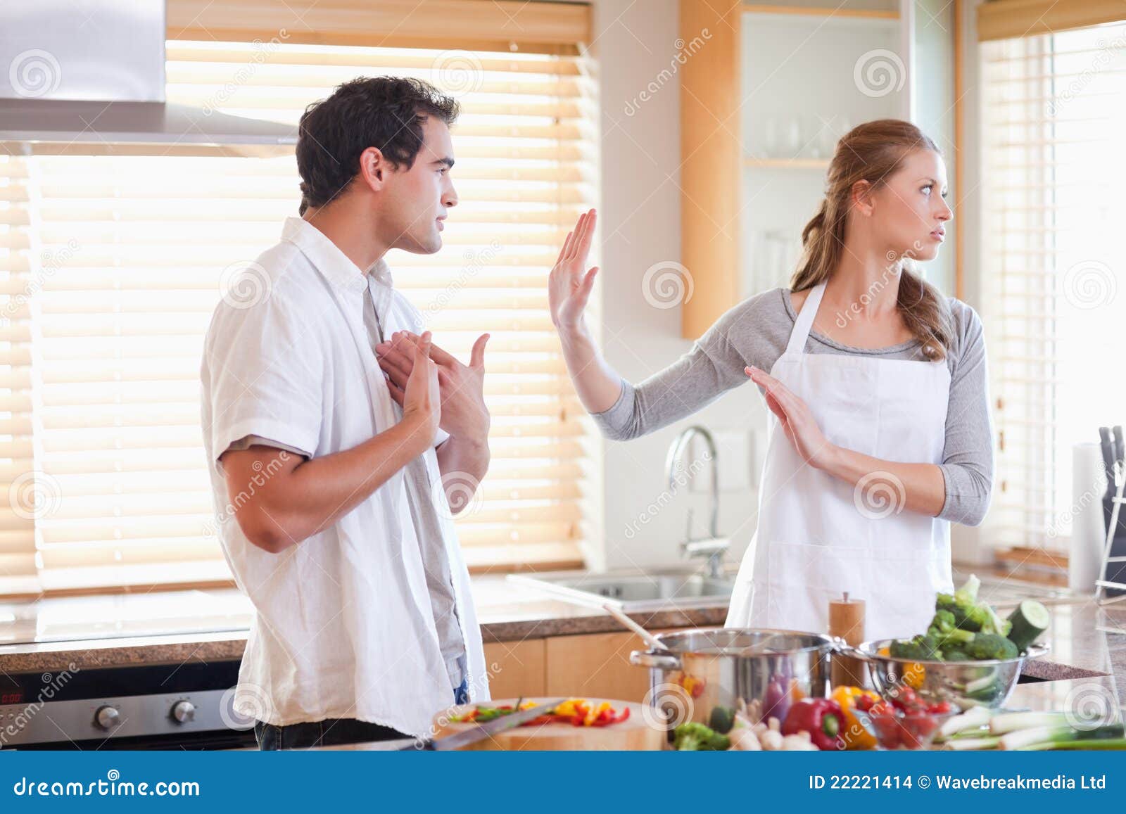 Couple Arguing in the Kitchen Stock Photo - Image of food, dinner: 22221414