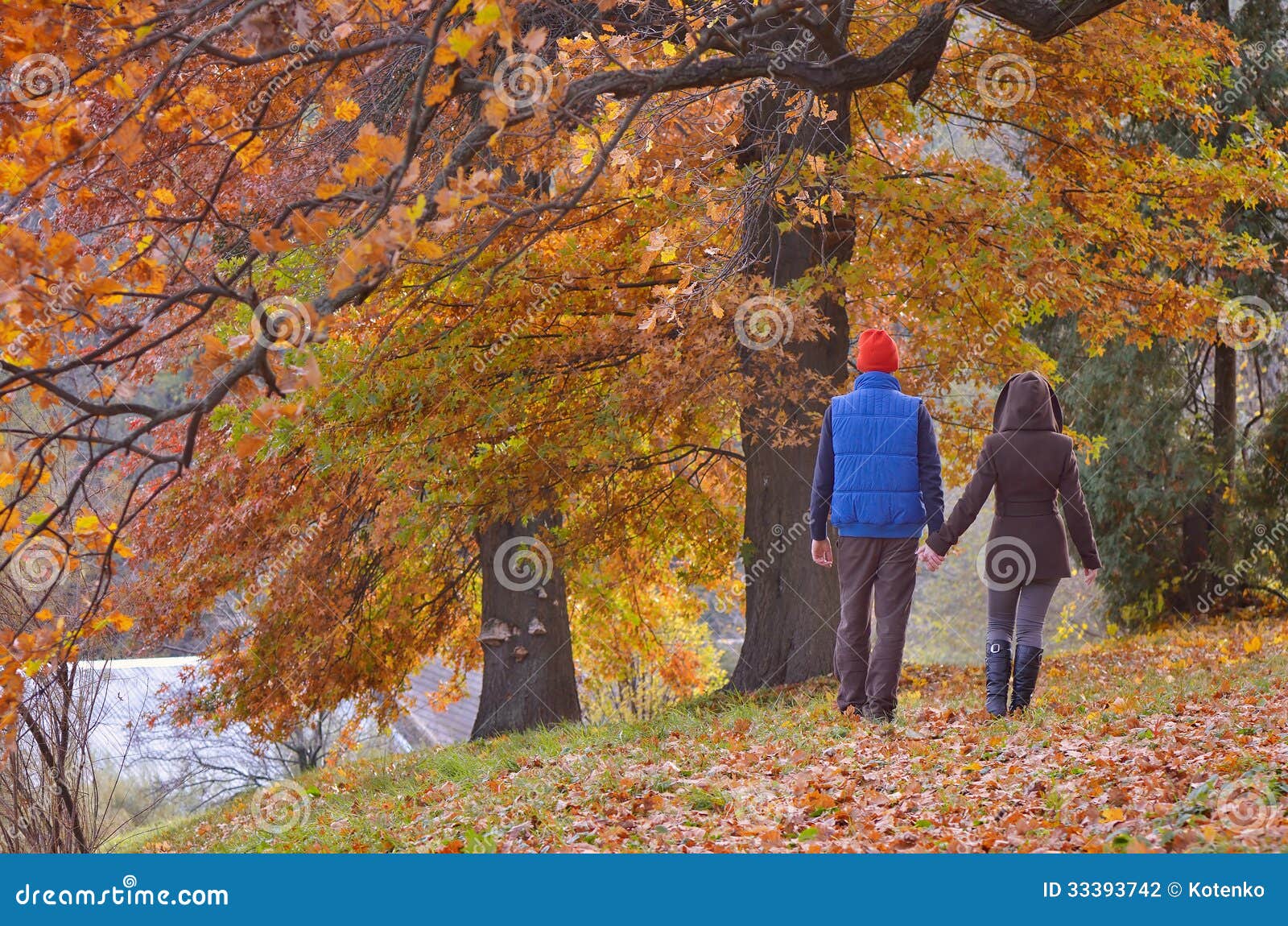 Couple in autumn park stock photo. Image of affection - 33393742