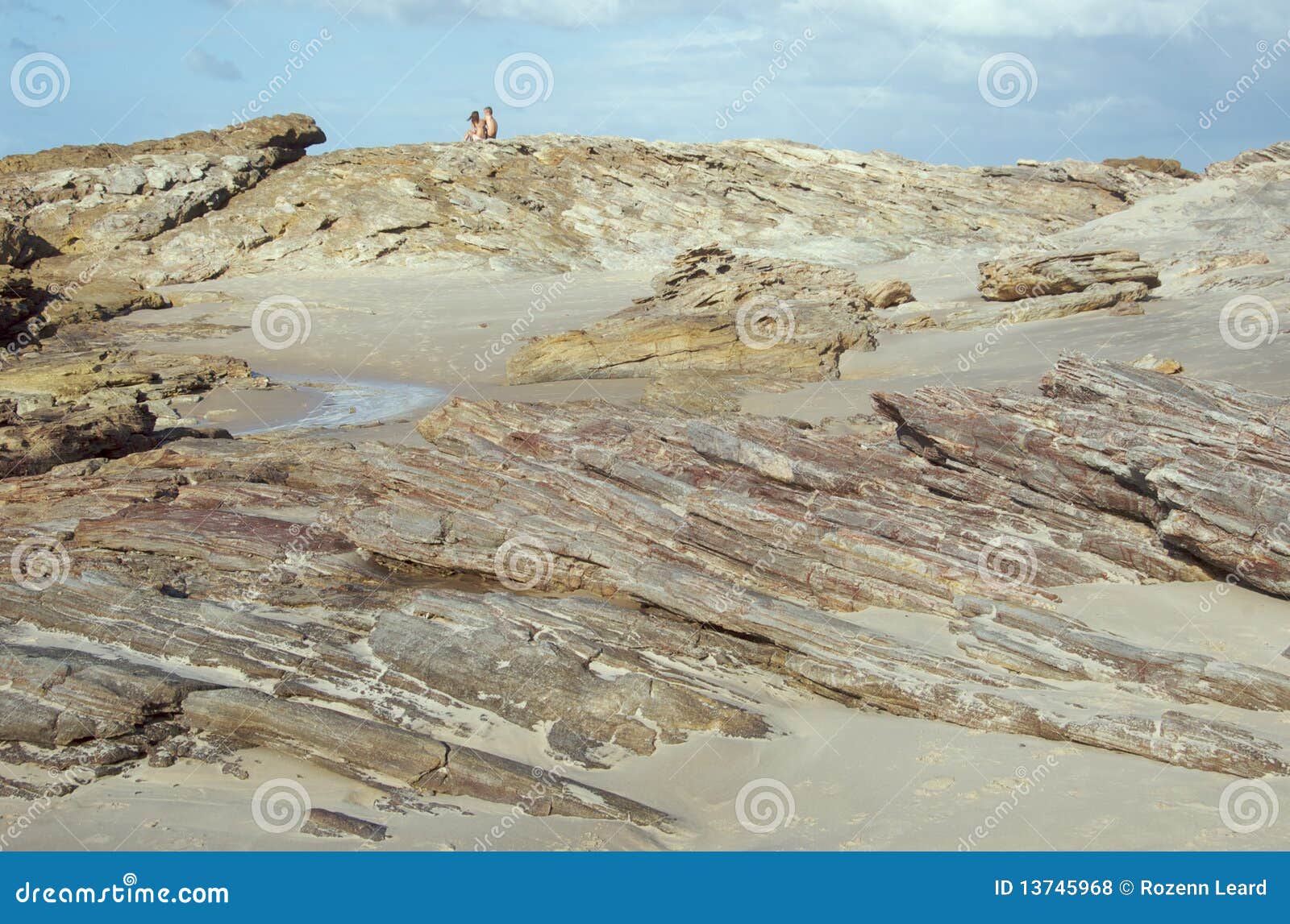 Beach Rocks And Driftwood Stock Image | CartoonDealer.com #220929307
