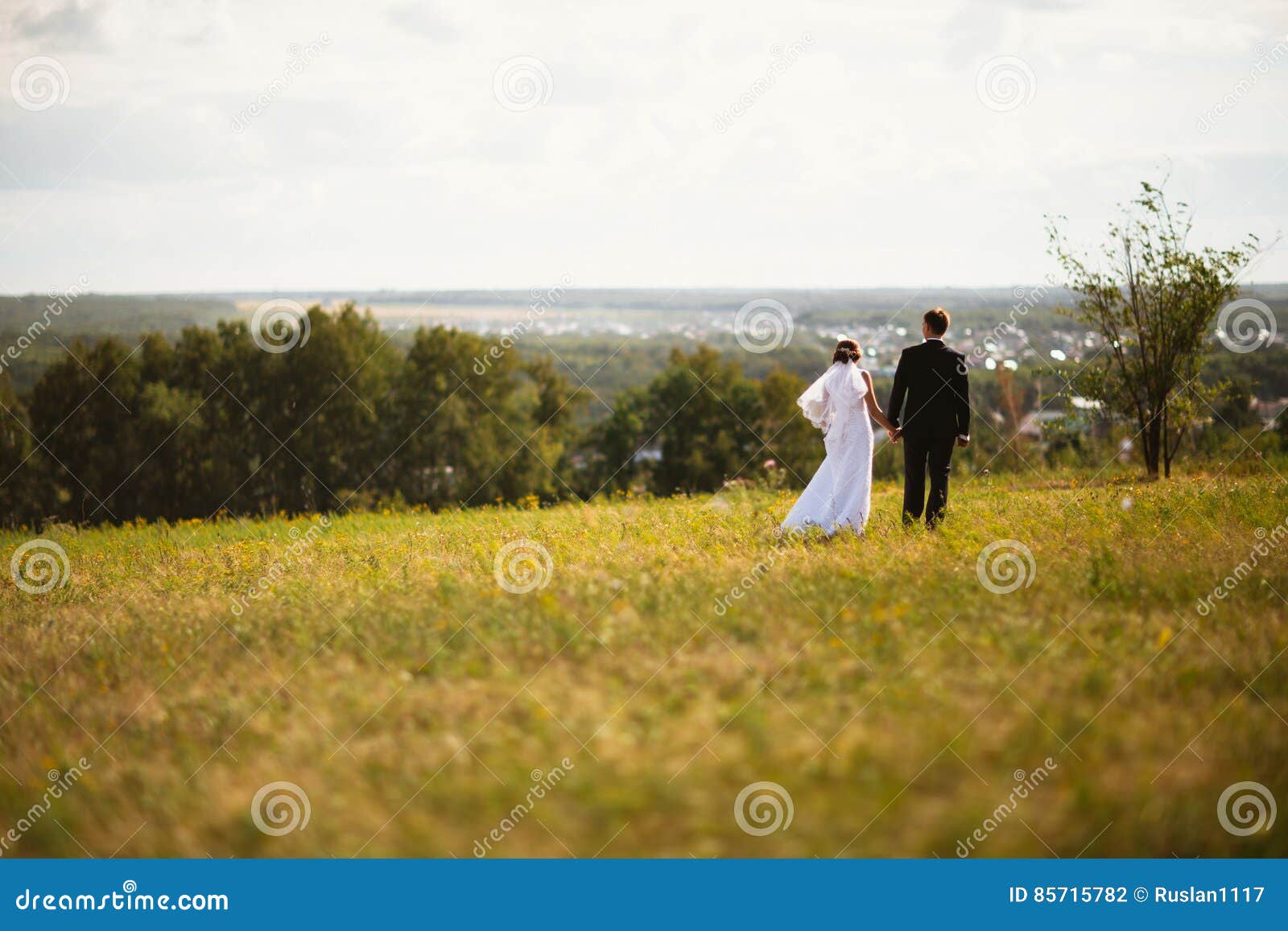 Couple Bride and Groom on Field Background Stock Photo - Image of ...