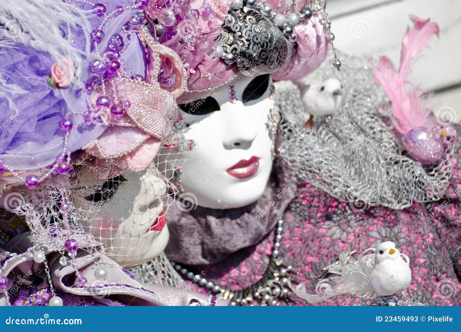 Couple with carnival mask stock image. Image of disguise - 23459493