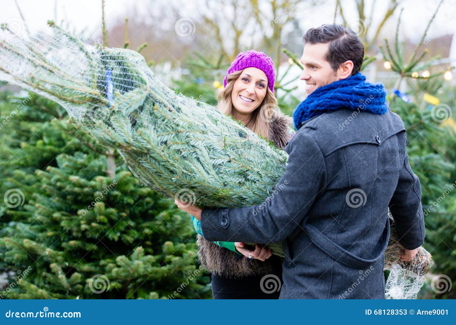 Couple Carrying Bought Christmas Tree Stock Image - Image of ...