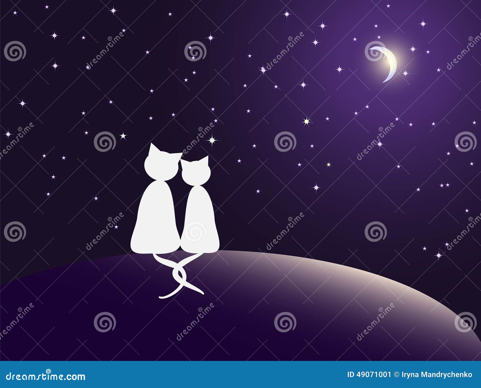 Couple of Cats Watching Stars Stock Vector - Illustration of happiness ...