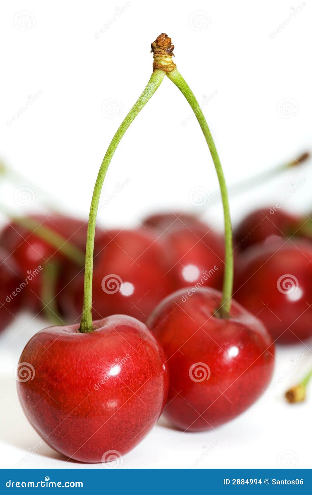 Couple of cherries stock photo. Image of nutrition, couple - 2884994