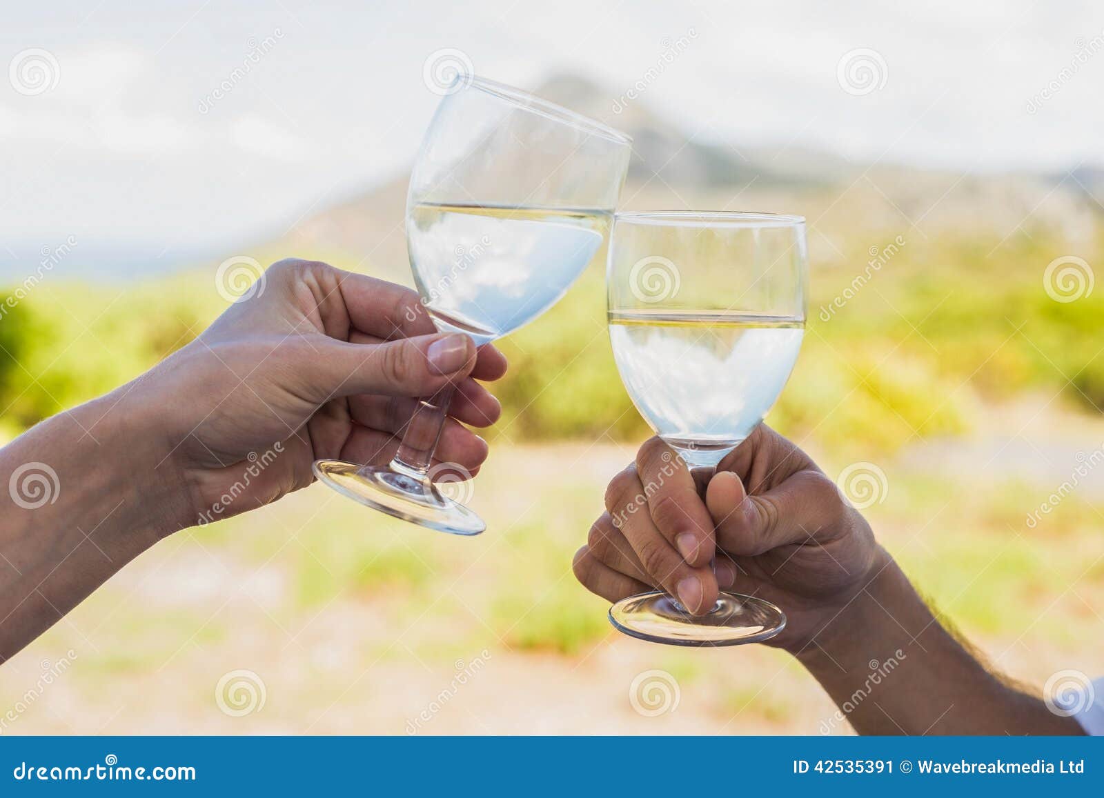 Couple Clinking Wine Glasses Outside Stock Image - Image of scenic ...