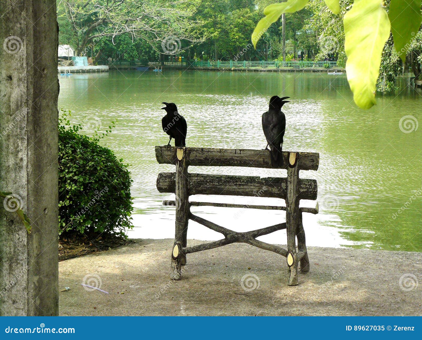 Couple of Crow on the Log of Bench Stock Image - Image of aves, feather ...
