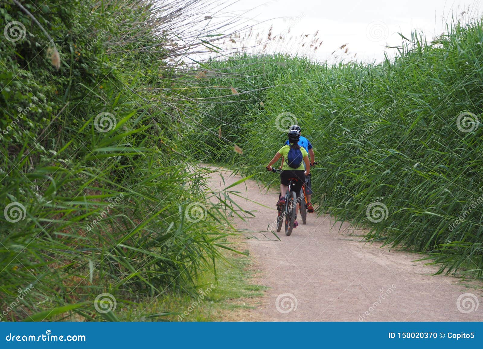 Couple of Cyclists Taking a Walk on the Lake, Lleida Editorial Image ...