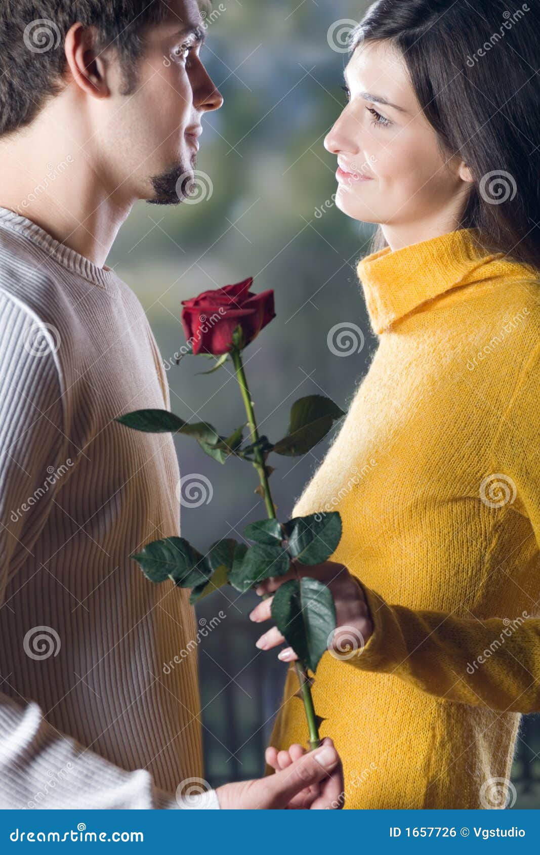 Couple at date with rose stock photo. Image of meeting - 1657726