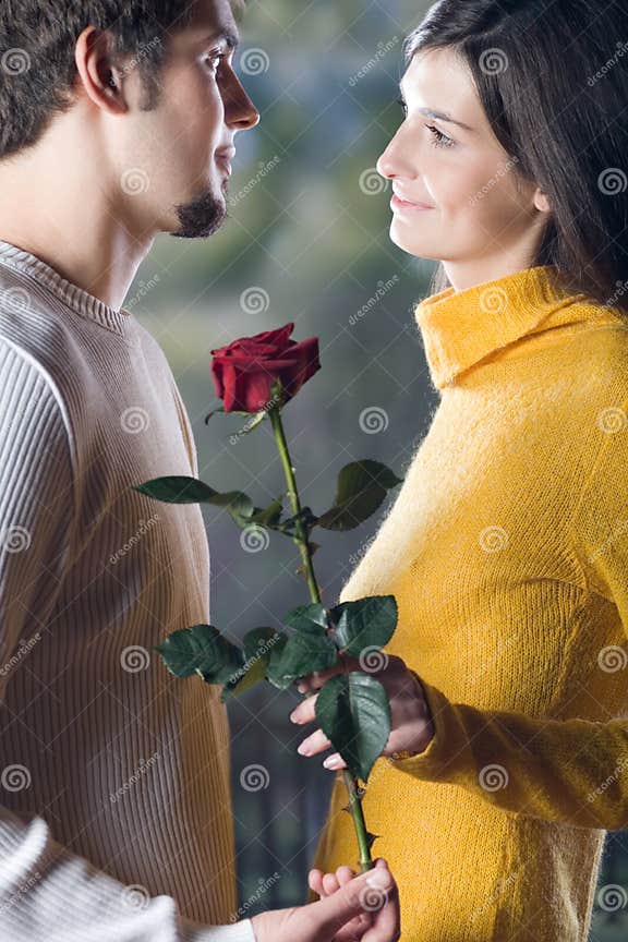 Couple at date with rose stock photo. Image of meeting - 1657726
