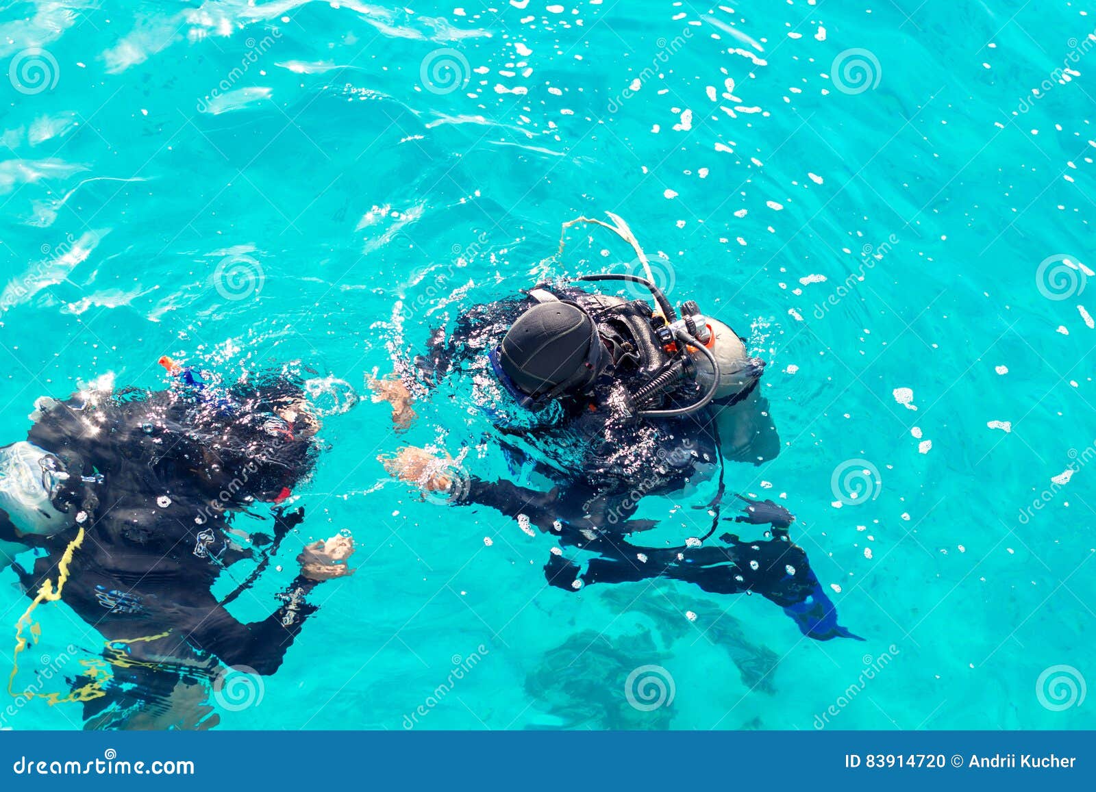Couple Divers Plunged into the Ocean, Top View Stock Photo - Image of ...