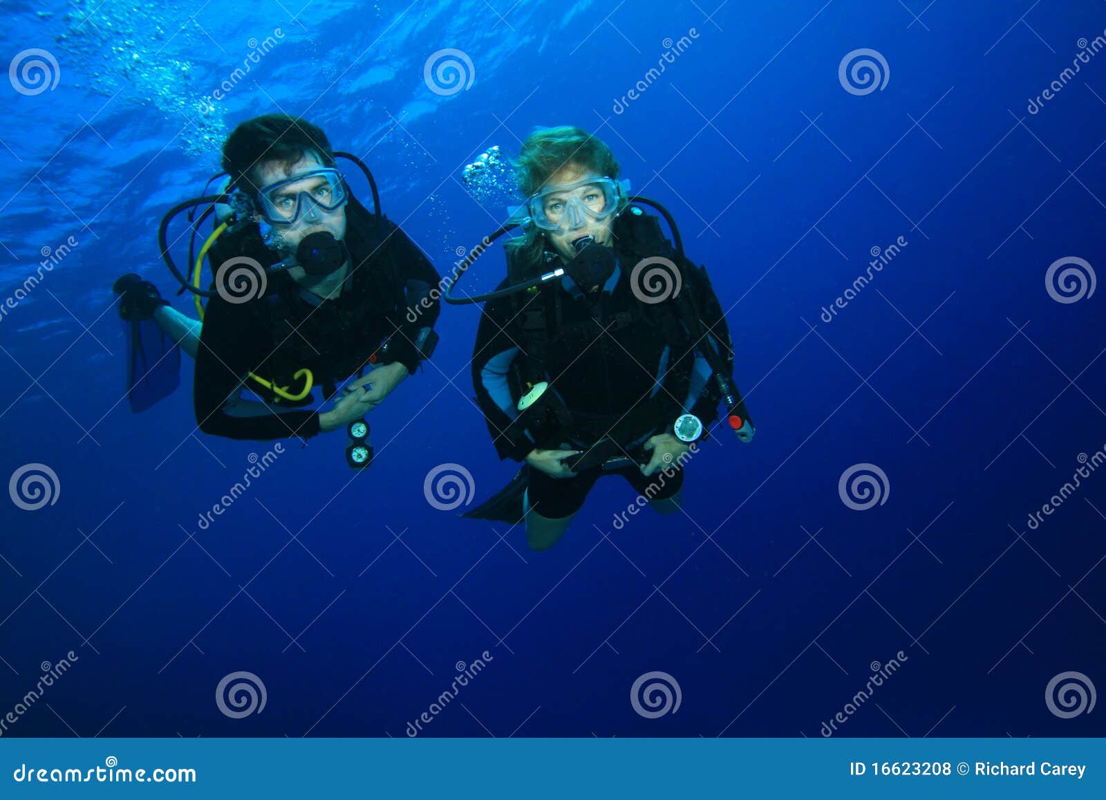 Couple Diving on Coral Reef Stock Photo - Image of color, reef: 16623208
