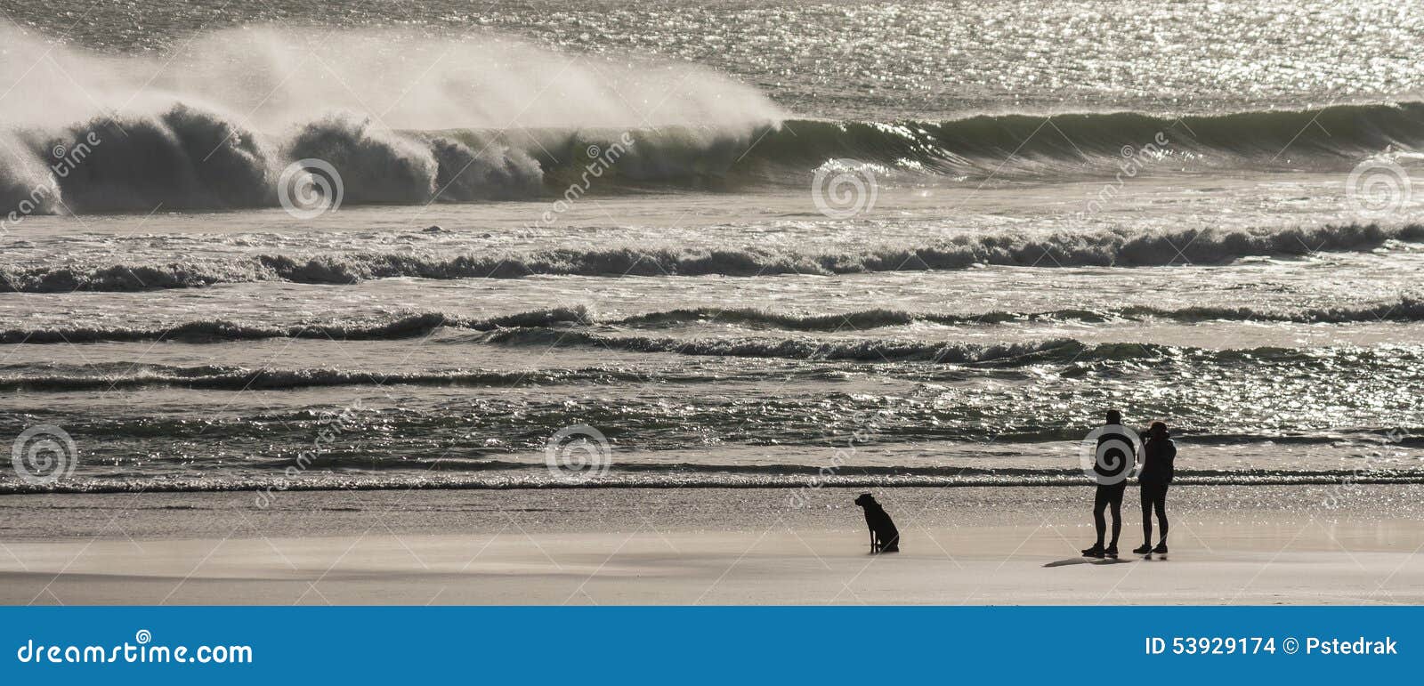 Couple with Dog Standing on Beach Stock Photo - Image of waves, tide ...