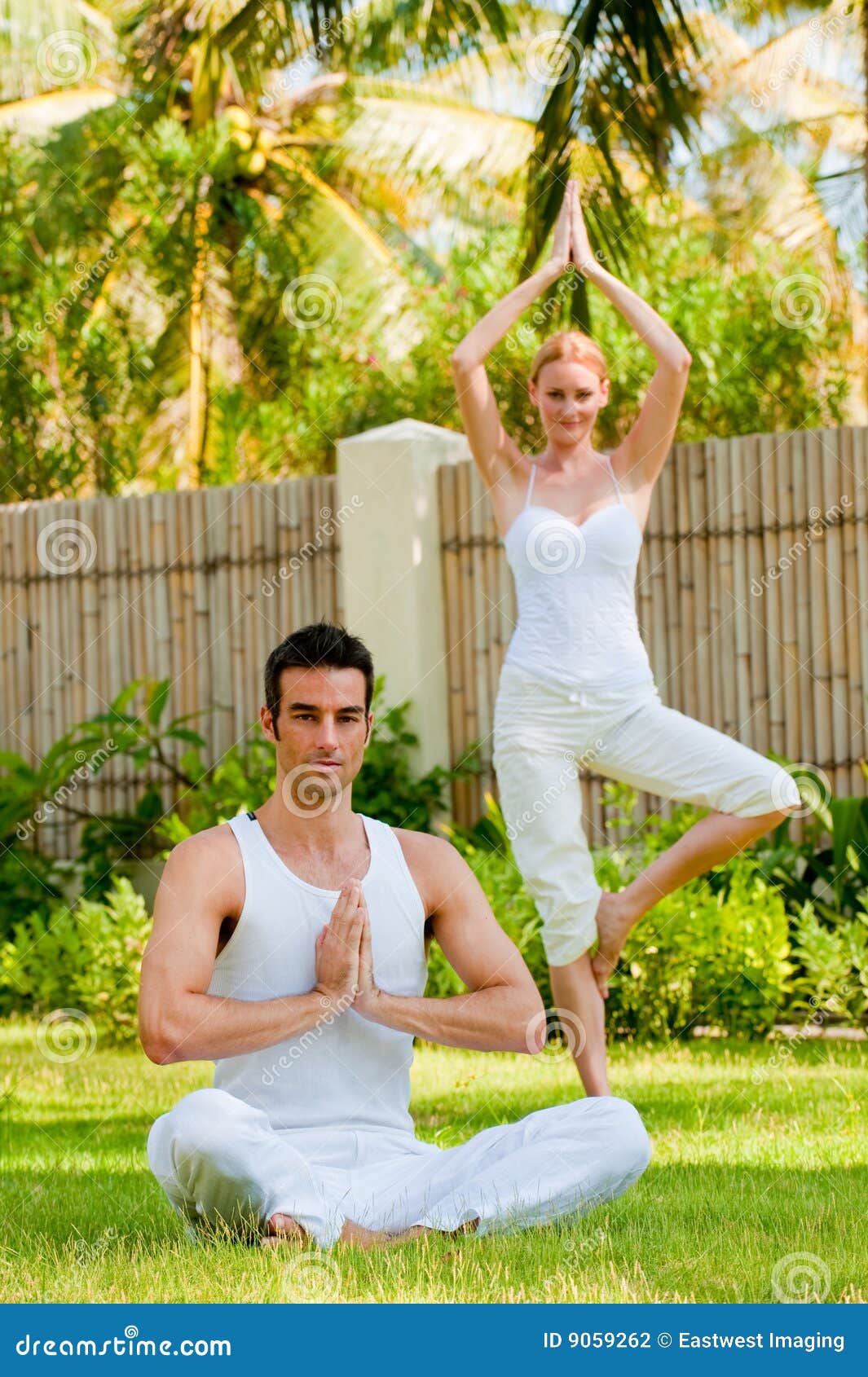 Couple Doing Yoga stock photo. Image of wellness, beautiful - 9059262
