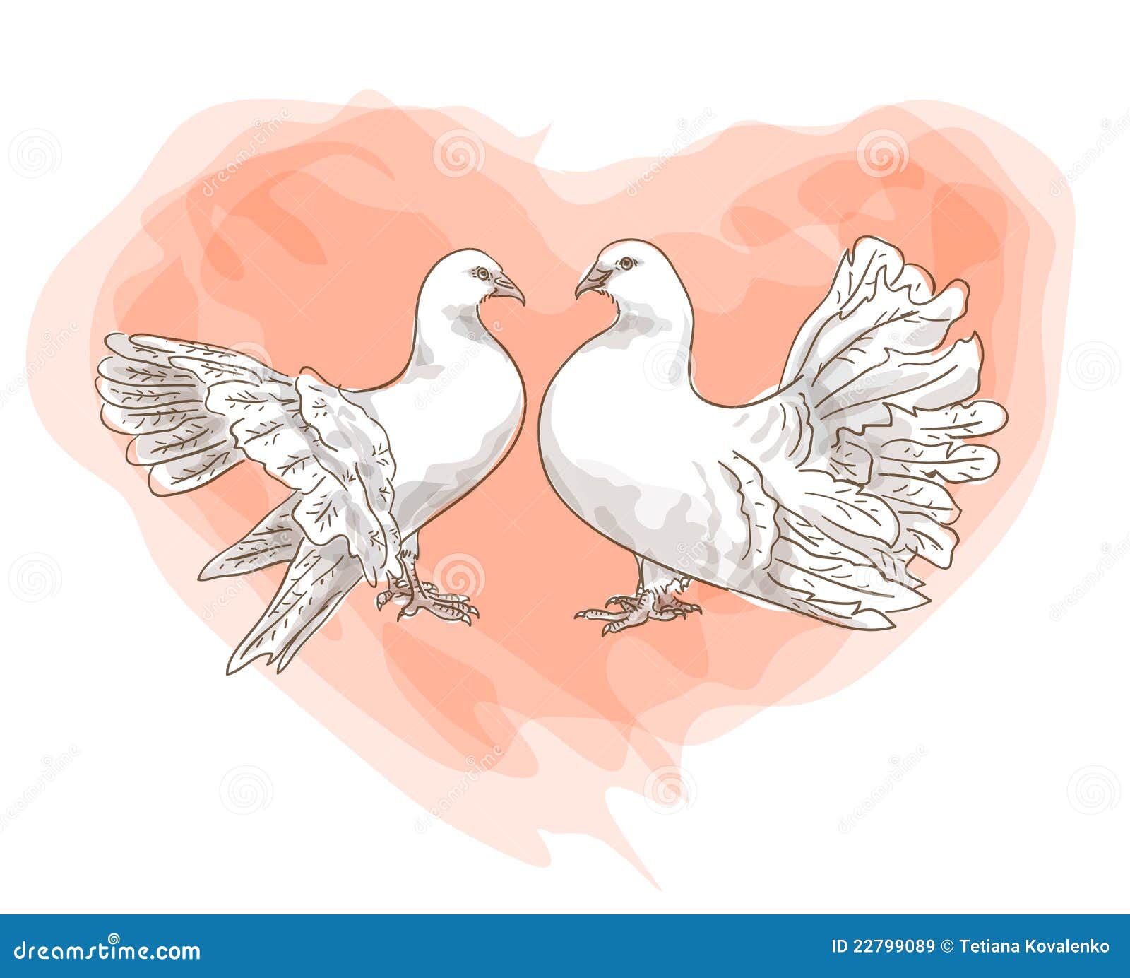Couple Doves With Symbol Of Love Red Heart Stock Vector