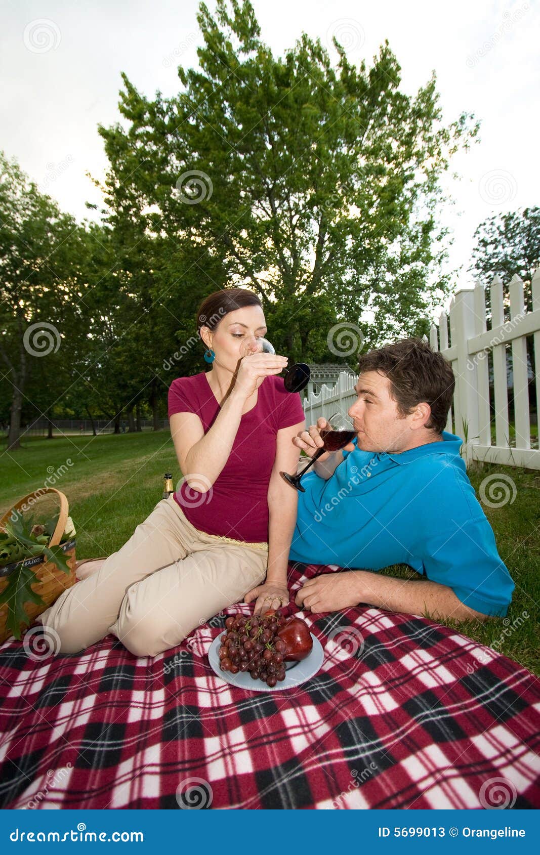 Couple Drinking at Picnic - Vertical Stock Image - Image of july ...