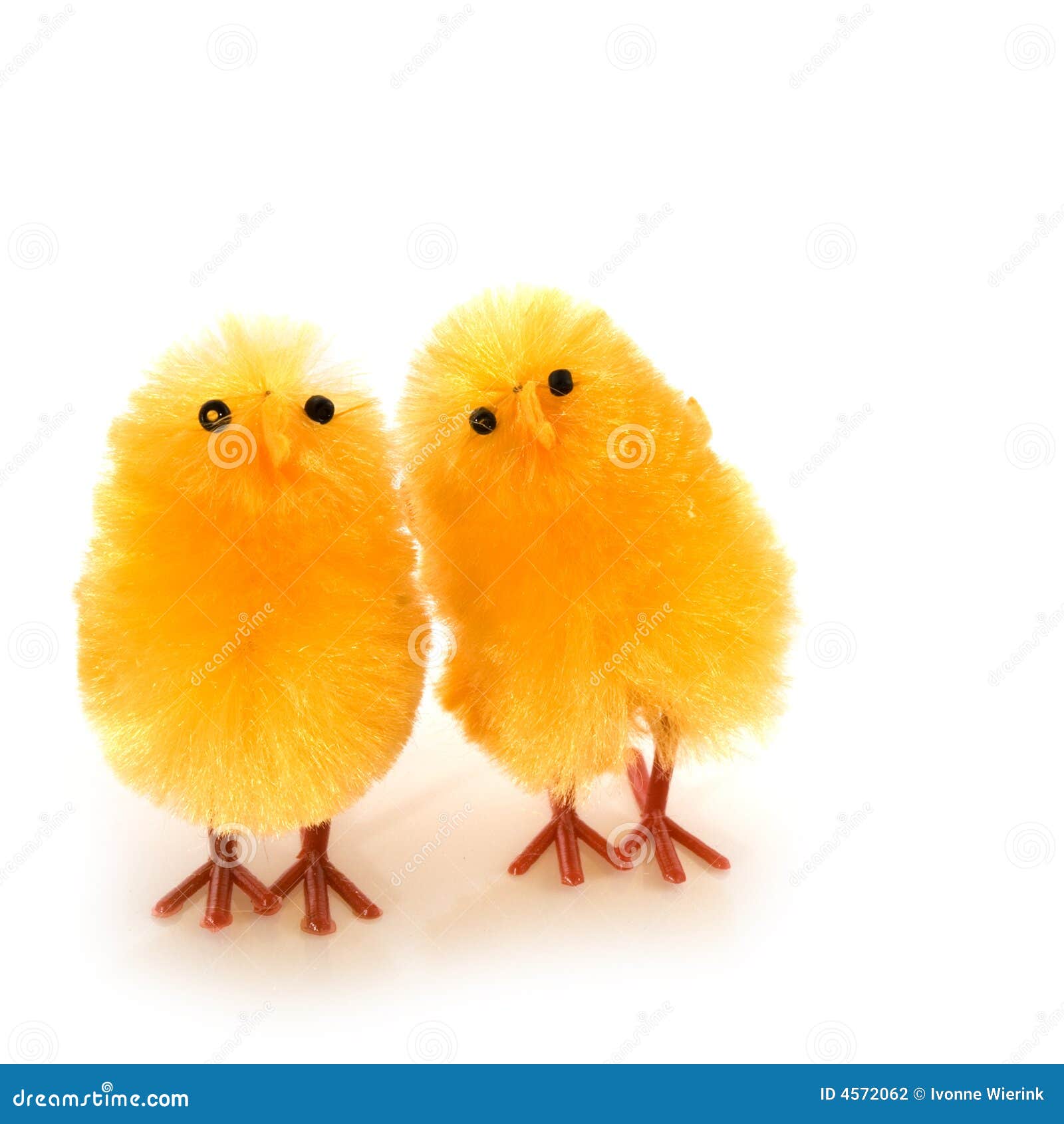Couple easter chickens stock photo. Image of springtime - 4572062