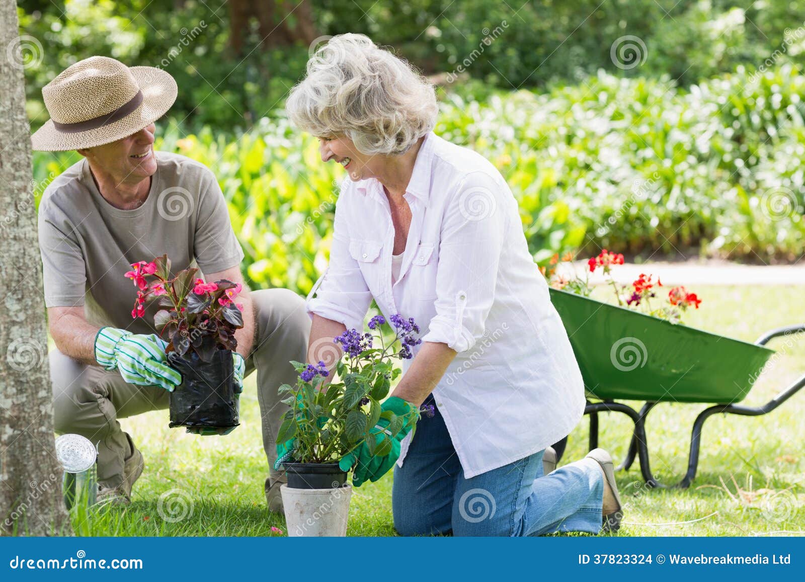 Couple Engaged in Gardening Stock Photo - Image of flower, land: 37823324