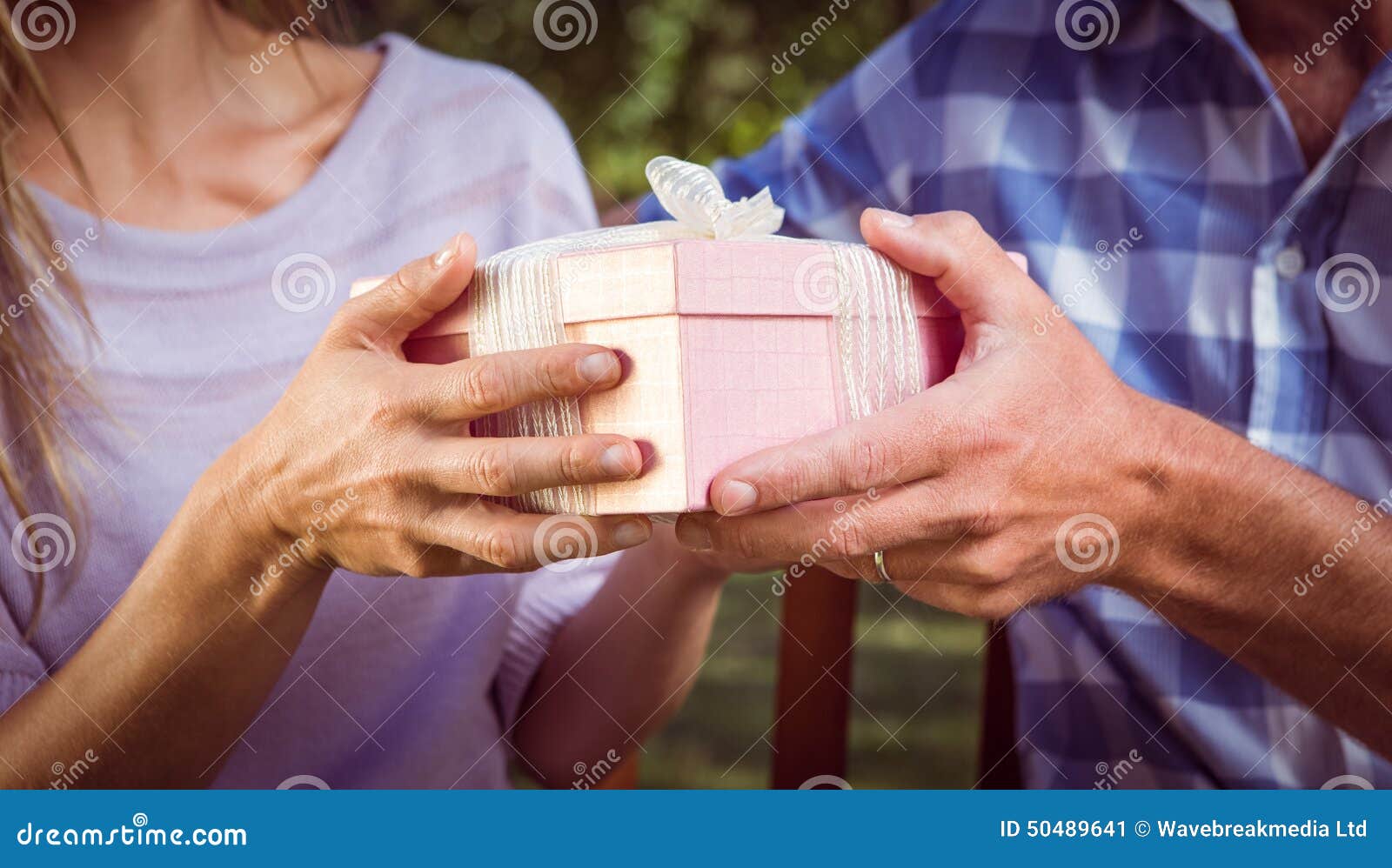 Couple Exchanging a Gift in Park Stock Image - Image of parkland ...