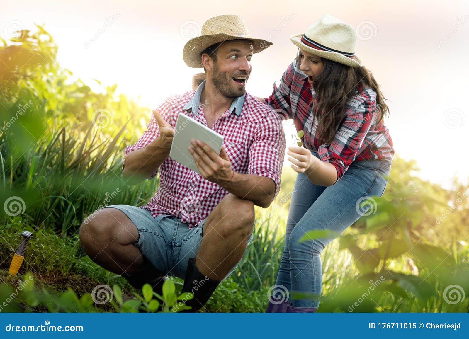 Couple Farm Workers Using Tablet Stock Image - Image of ecology, check ...