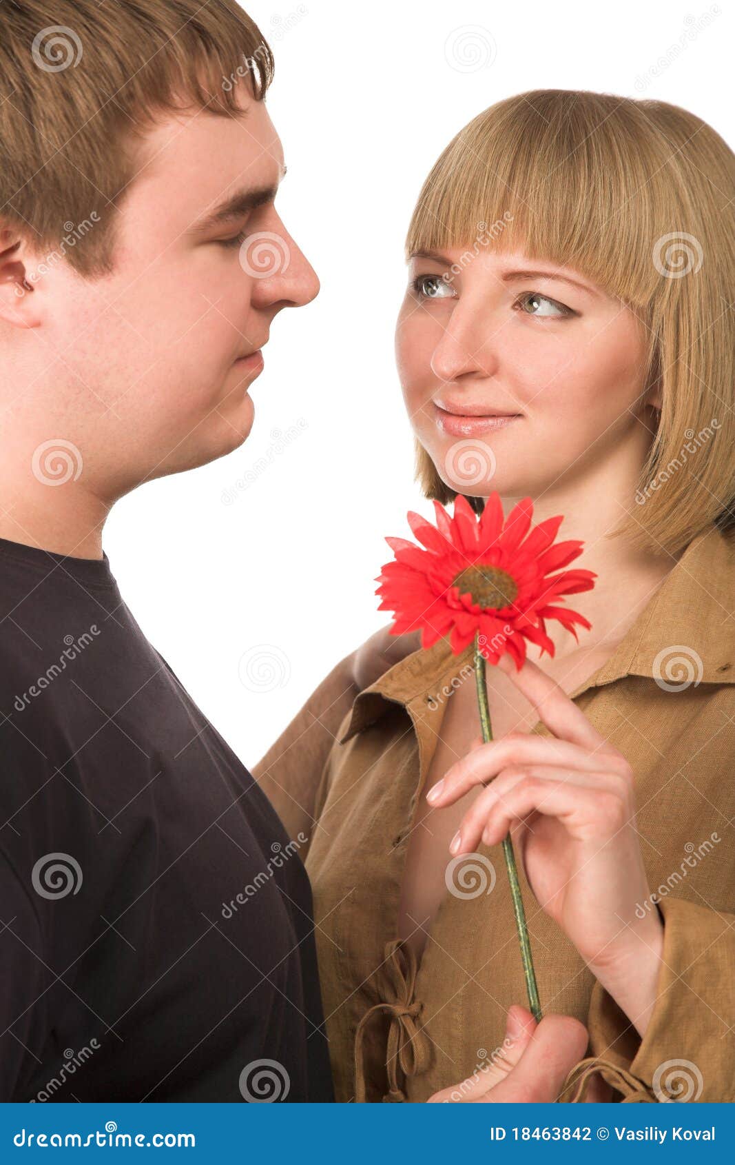 Couple with flower stock photo. Image of love, dating - 18463842