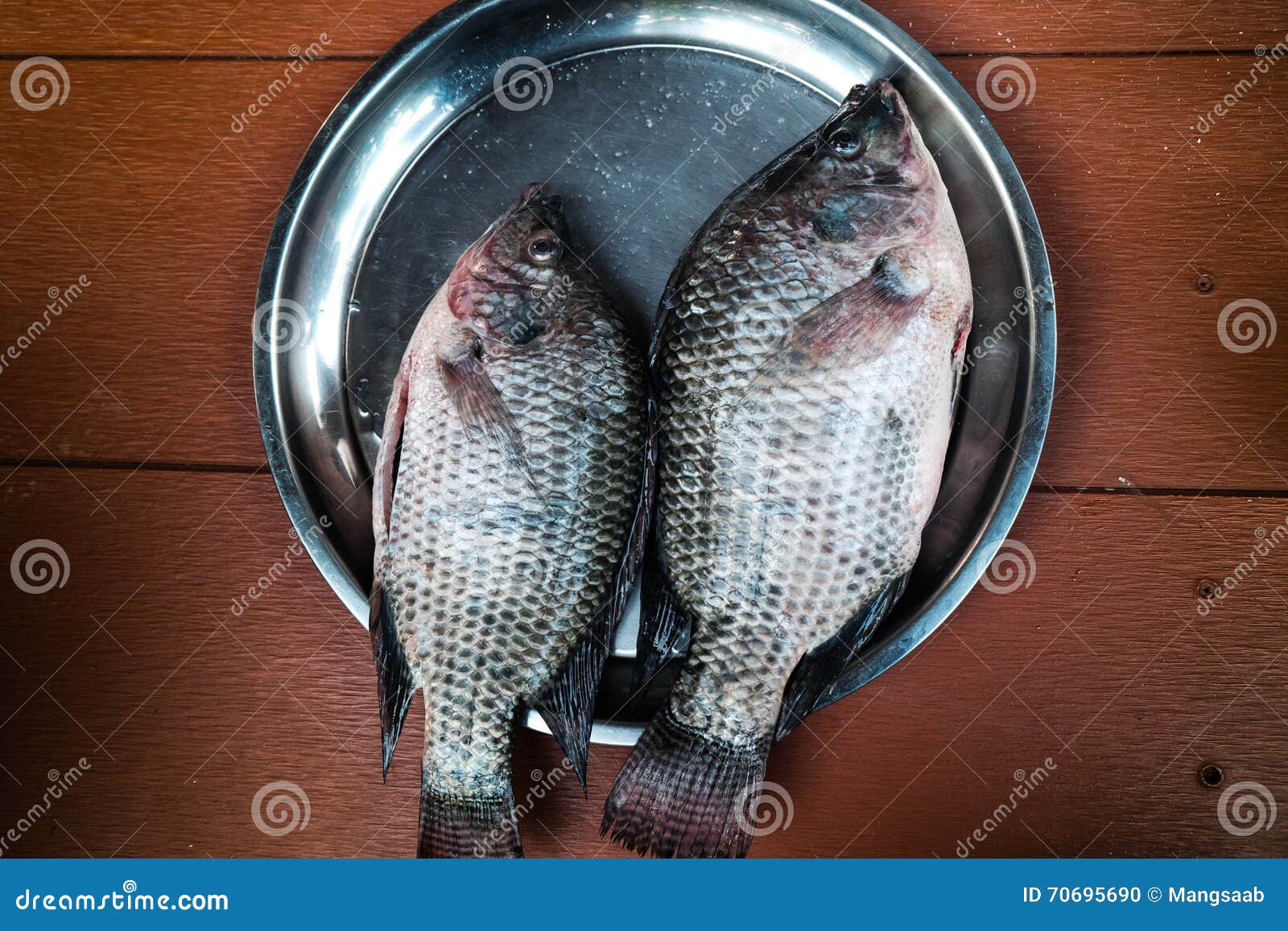 Fresh Tilapia Fish,traditional Fish In The Market Royalty-Free Stock ...