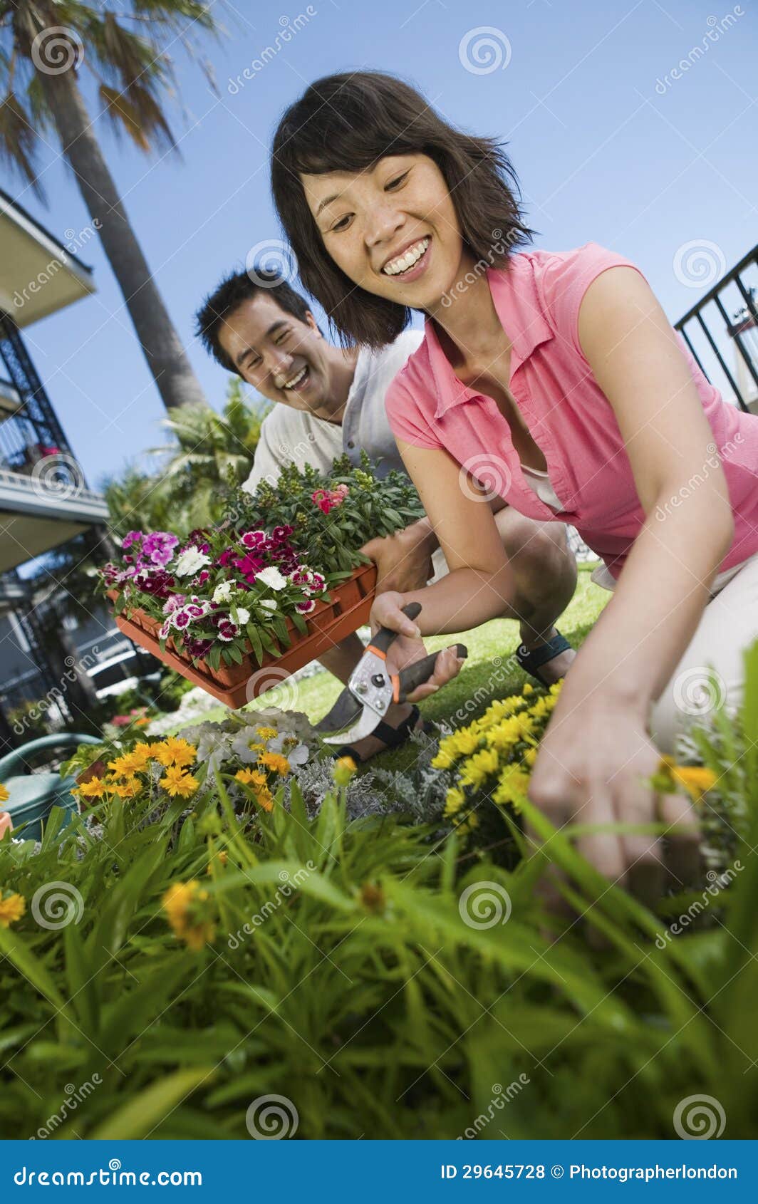 Couple Gardening Together stock photo. Image of holding - 29645728