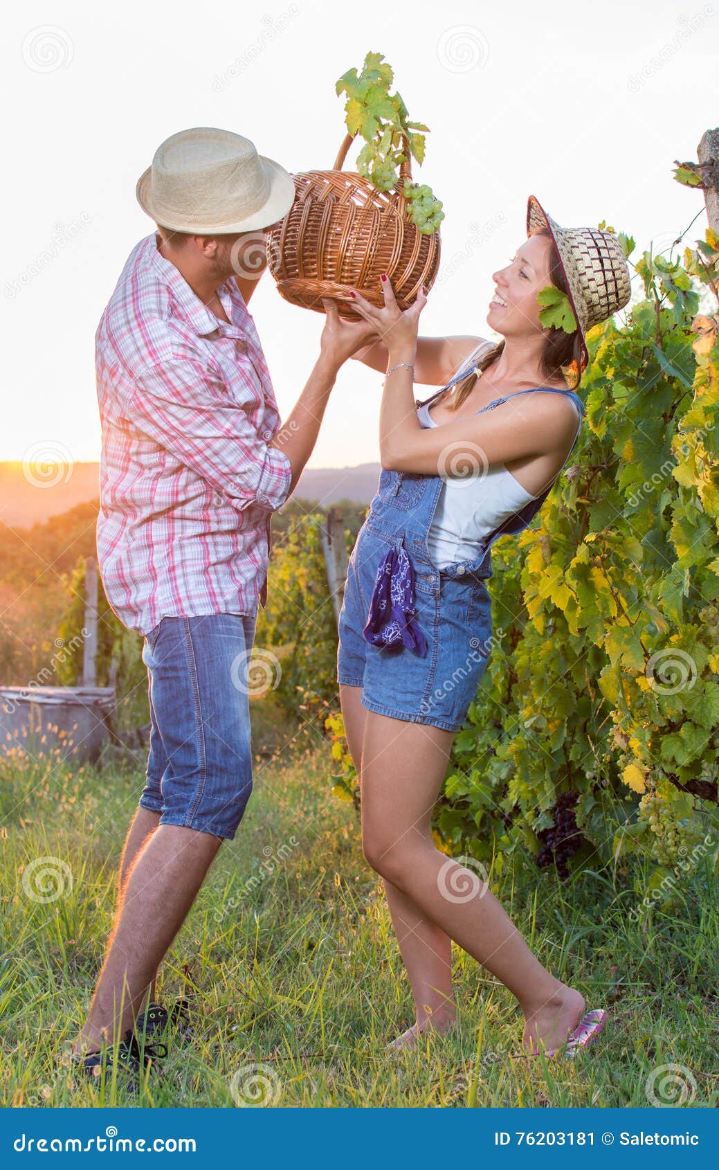Couple in Grape Picking at the Vineyard Stock Image - Image of love ...