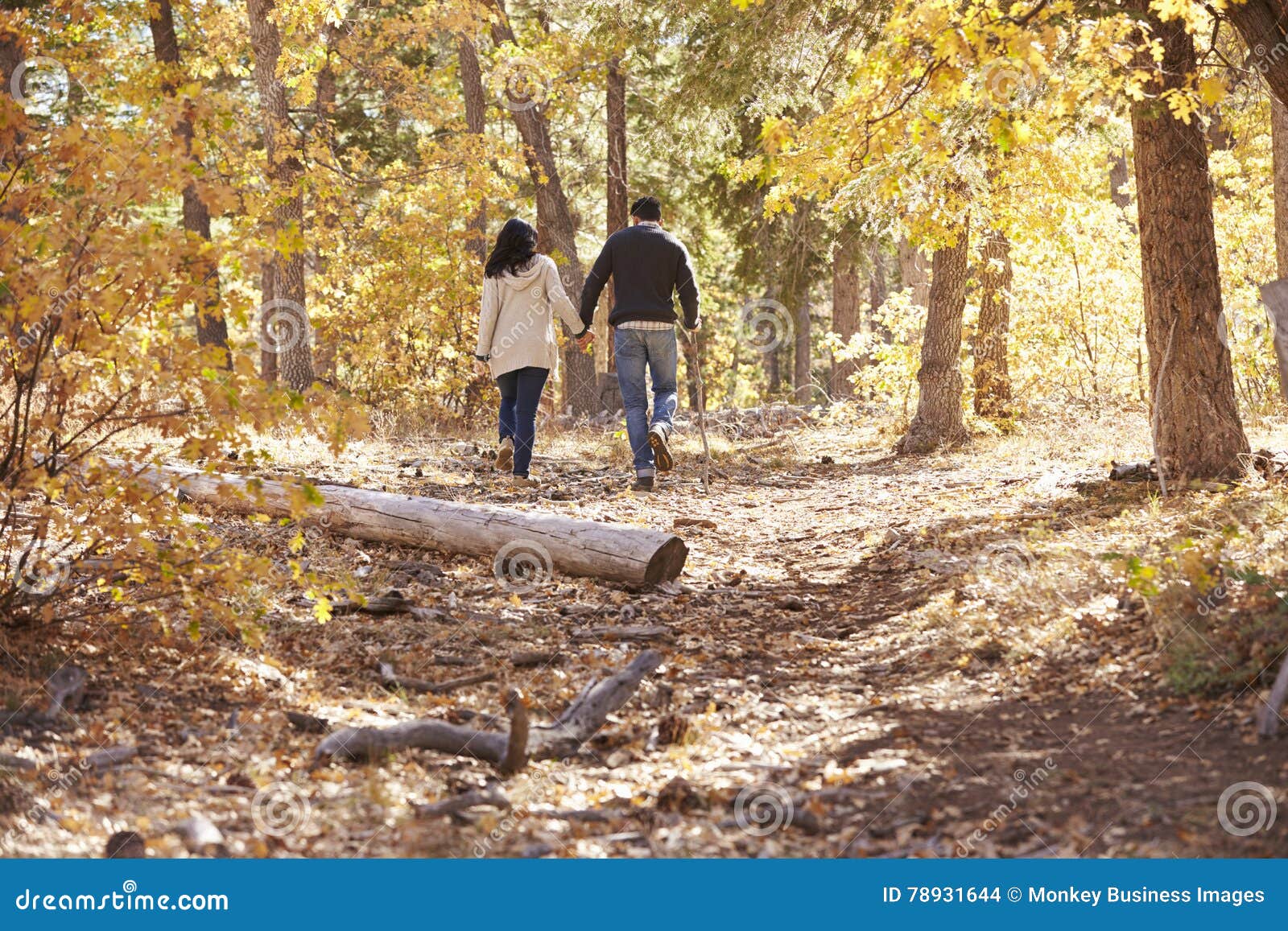 Couple Hiking in a Forest Holding Hands, Distant Back View Stock Photo ...