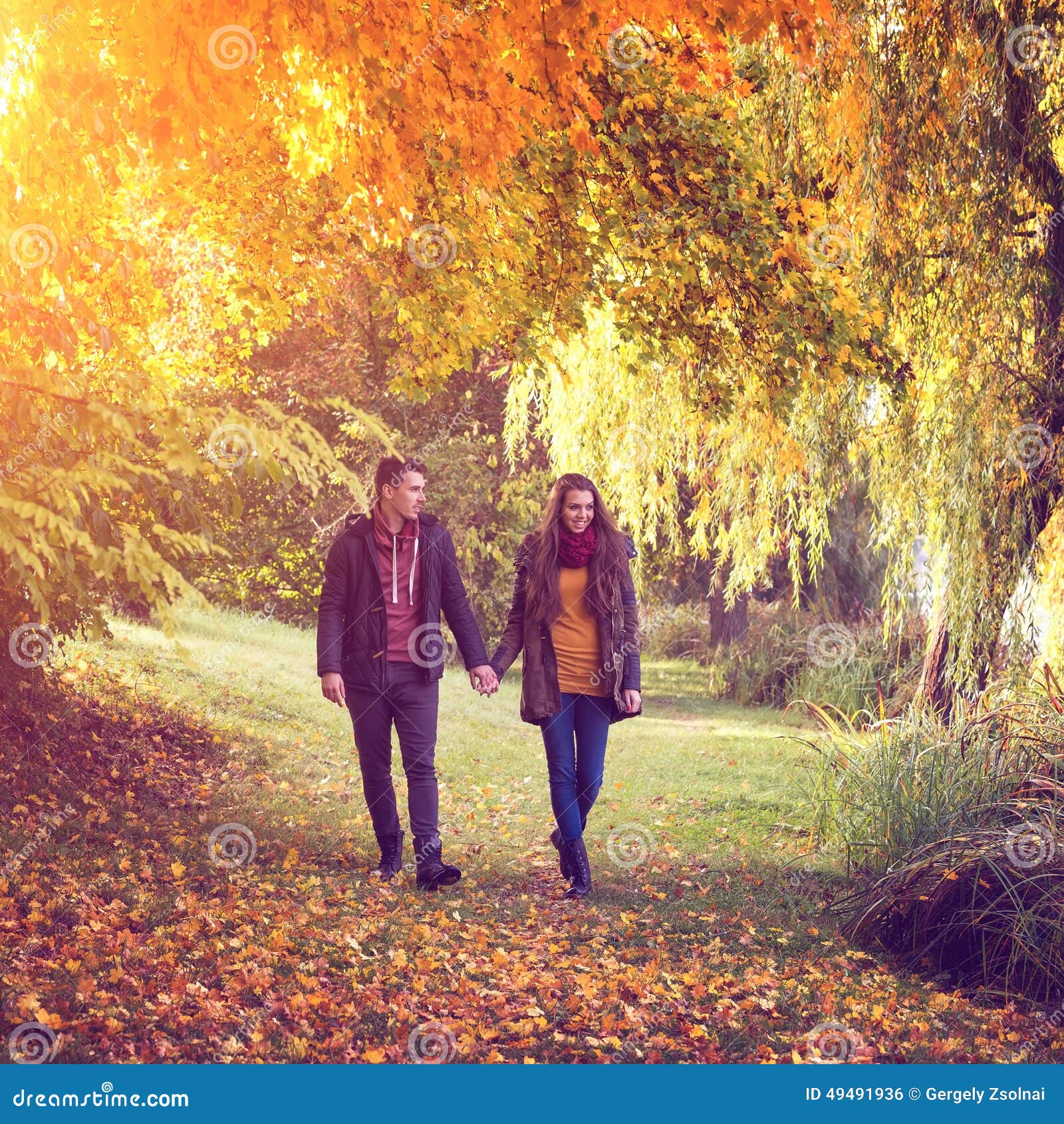 Couple Holding Hands Walking in the Forest in Autumn Stock Photo ...
