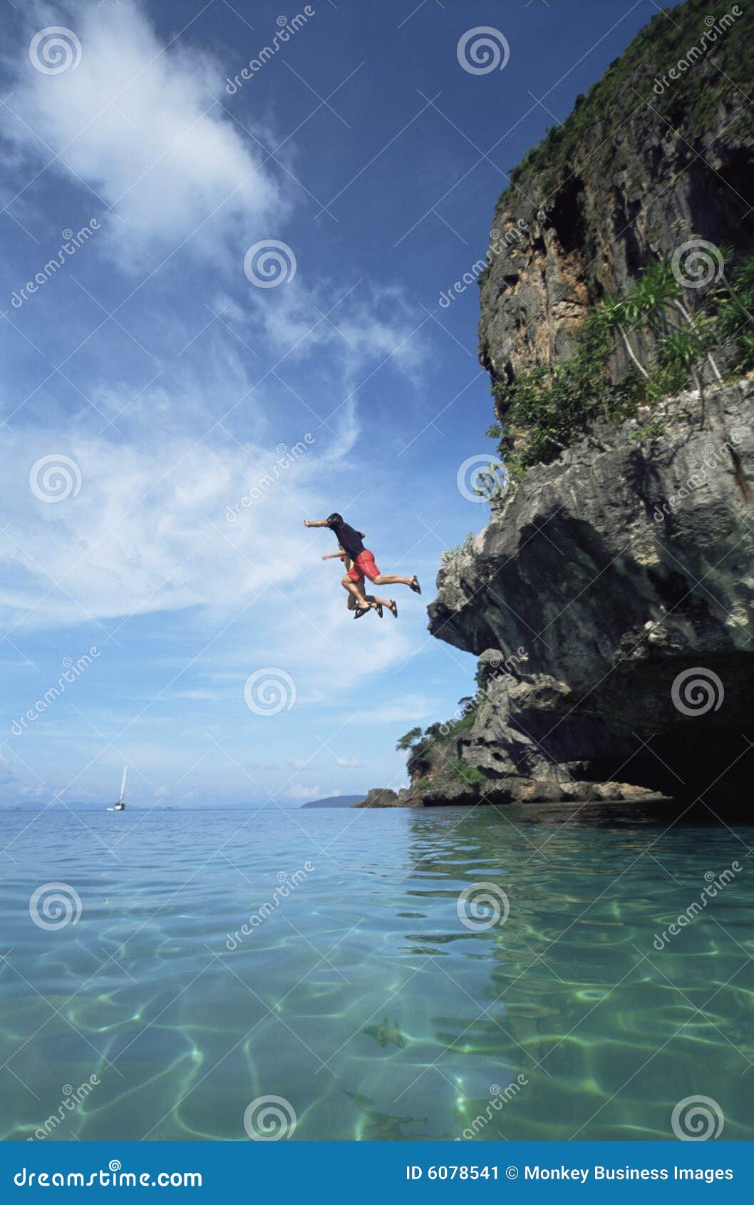 Couple Of Jumping Spiders Below A Cicada Exuvia Stock Photo ...