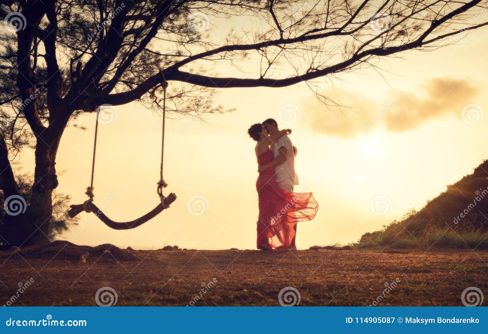 The Couple is Kissing. the Guy Made an Offer. a Swing on the Tree. a ...