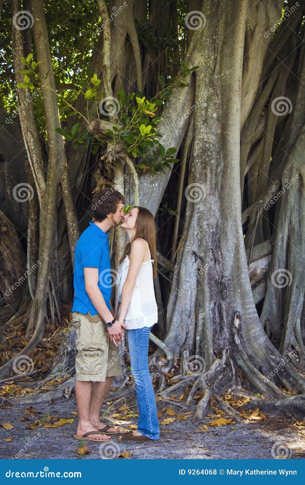 Couple kissing under tree stock photo. Image of couple - 9264068