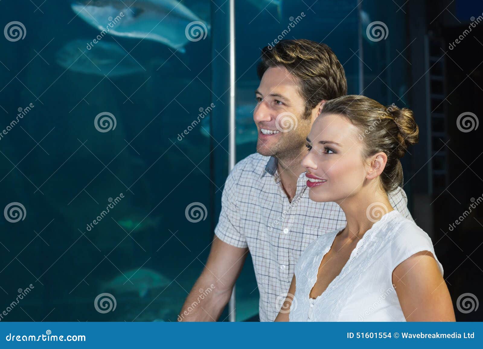 Couple Looking at Fish in Tank Stock Photo - Image of cheerful, male ...