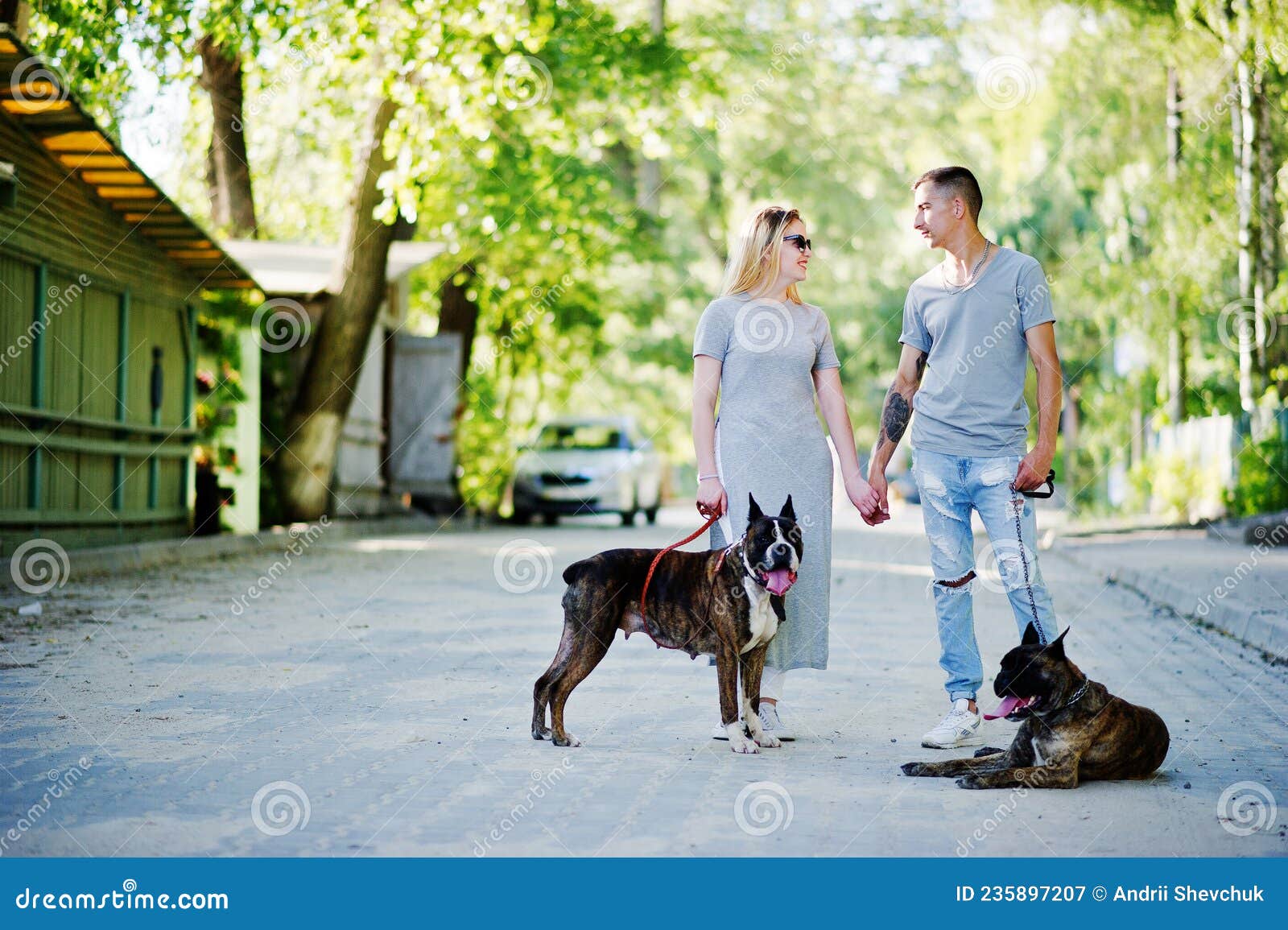 Couple in Love with Two Dogs Stock Image - Image of friend, family ...