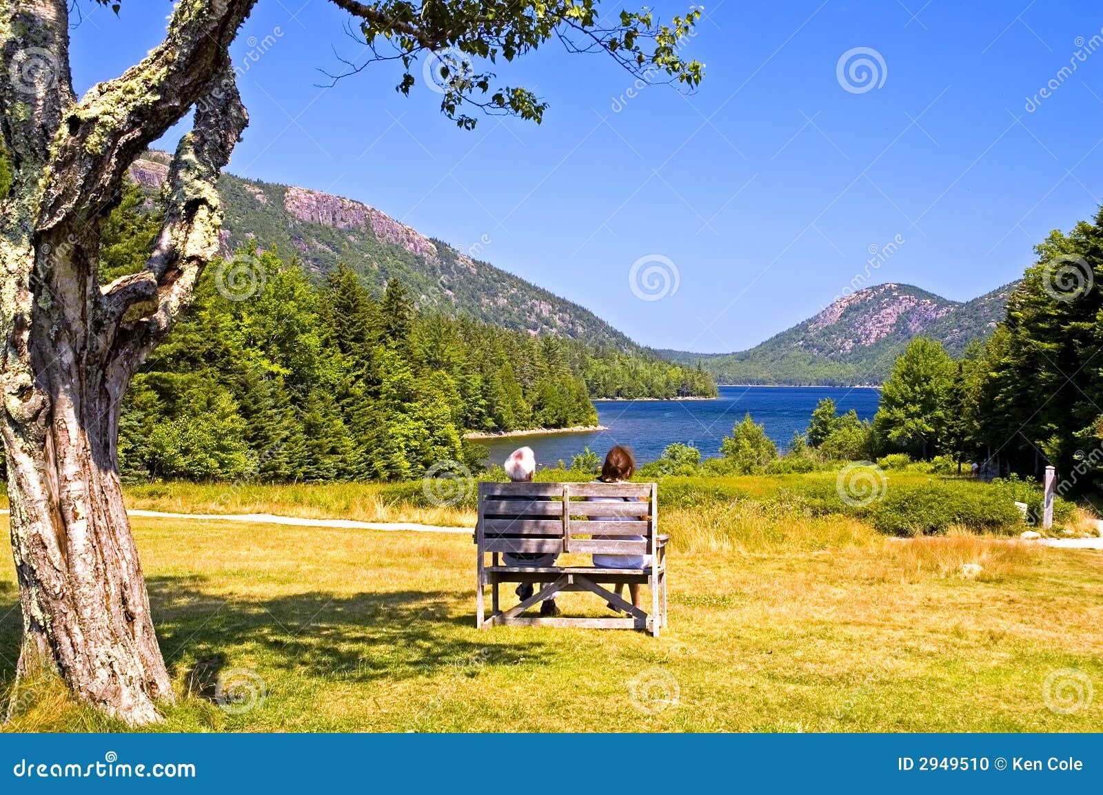 Couple Overlooking Scenic Lake Stock Photo - Image of mountains ...