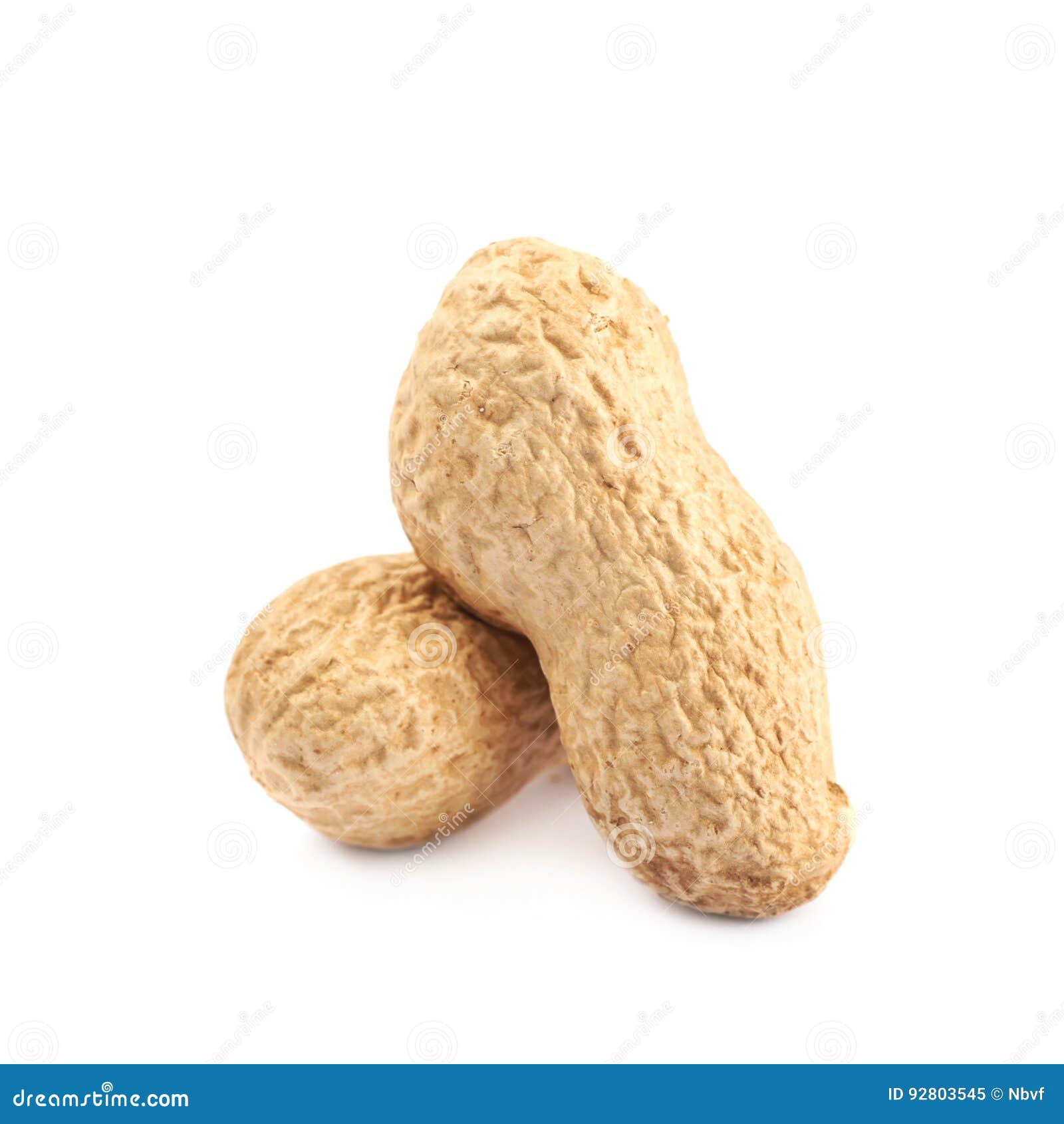 Couple of peanuts isolated stock image. Image of ingredient - 92803545