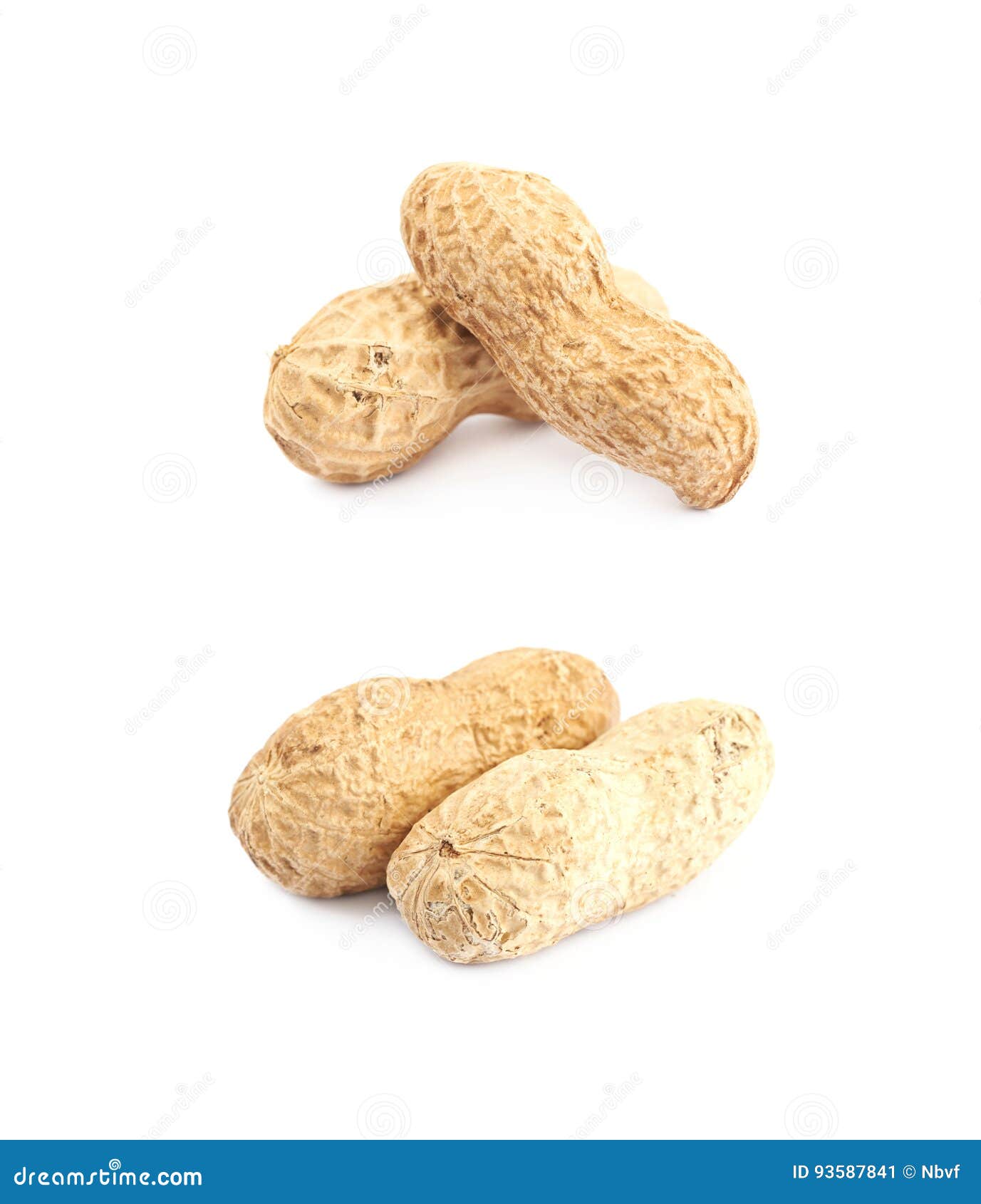 Couple of peanuts isolated stock image. Image of groundnut - 93587841