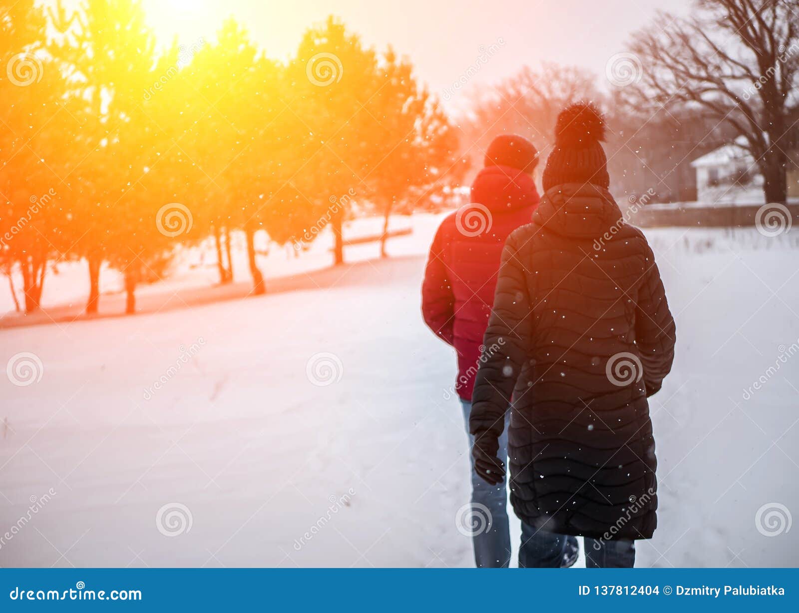 A Couple of People Walk in the Winter Park Stock Photo - Image of ...