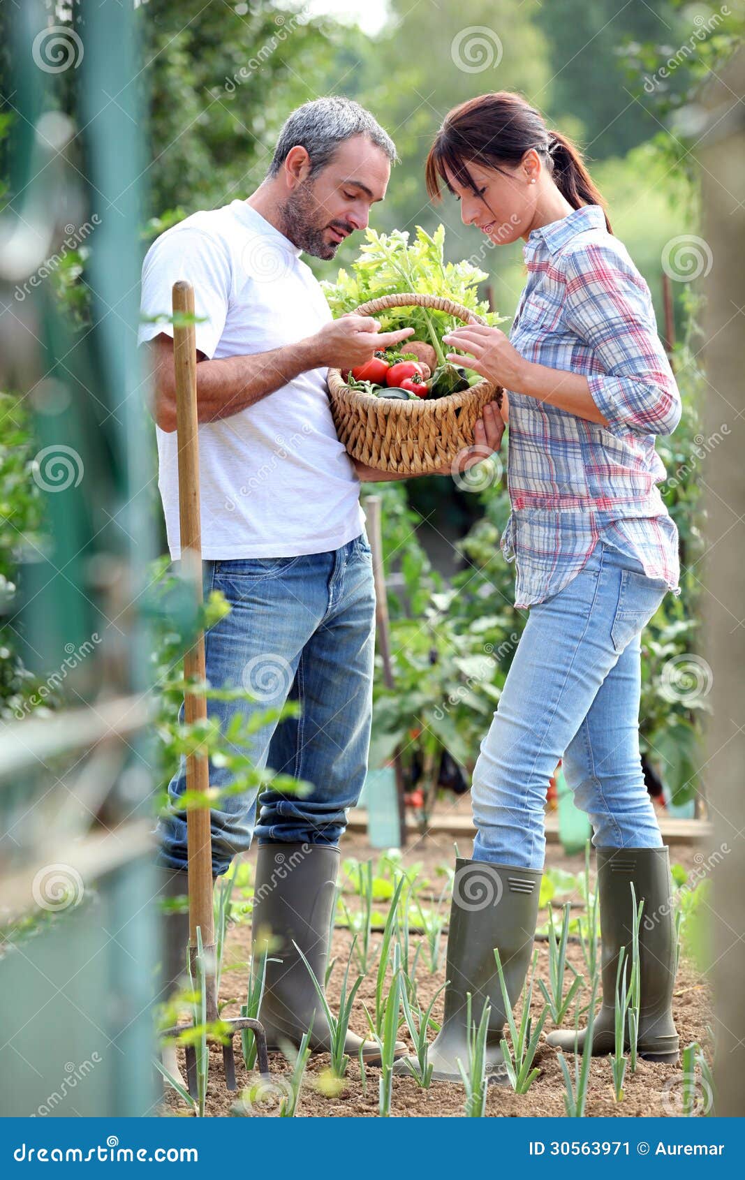 Couple picking vegetables stock image. Image of kitchen - 30563971