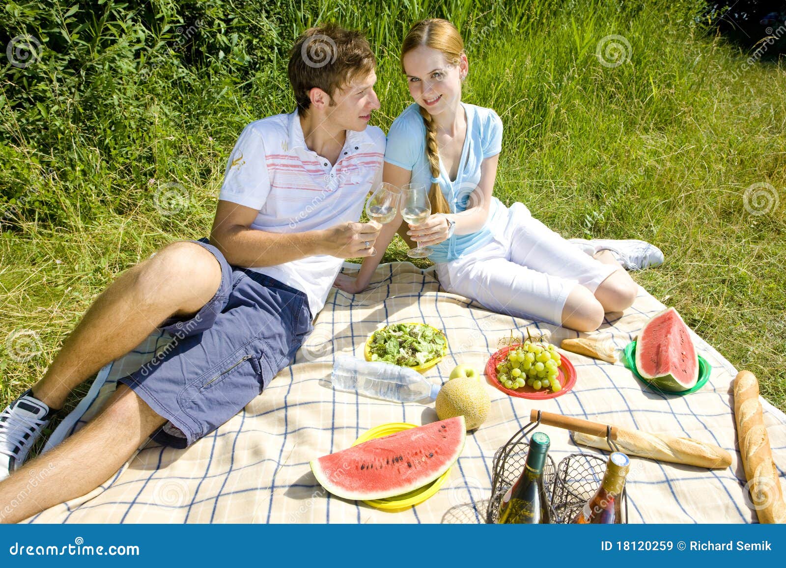 Couple at a picnic stock image. Image of happiness, friendship - 18120259