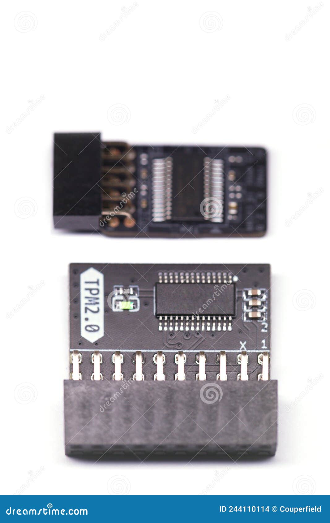 Couple of 12 and 20 Pin TPM Module Additional Chips Stock Photo - Image ...