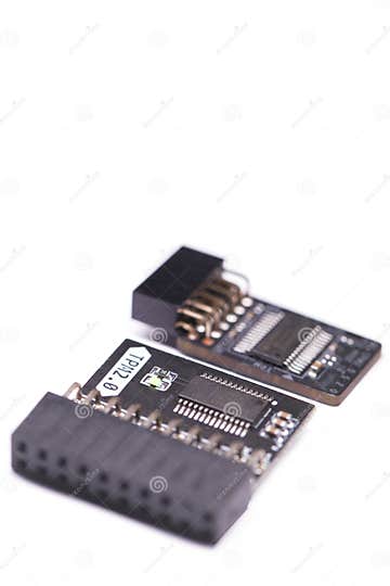 Couple of 12 and 20 Pin TPM Module Additional Chips Stock Image - Image ...